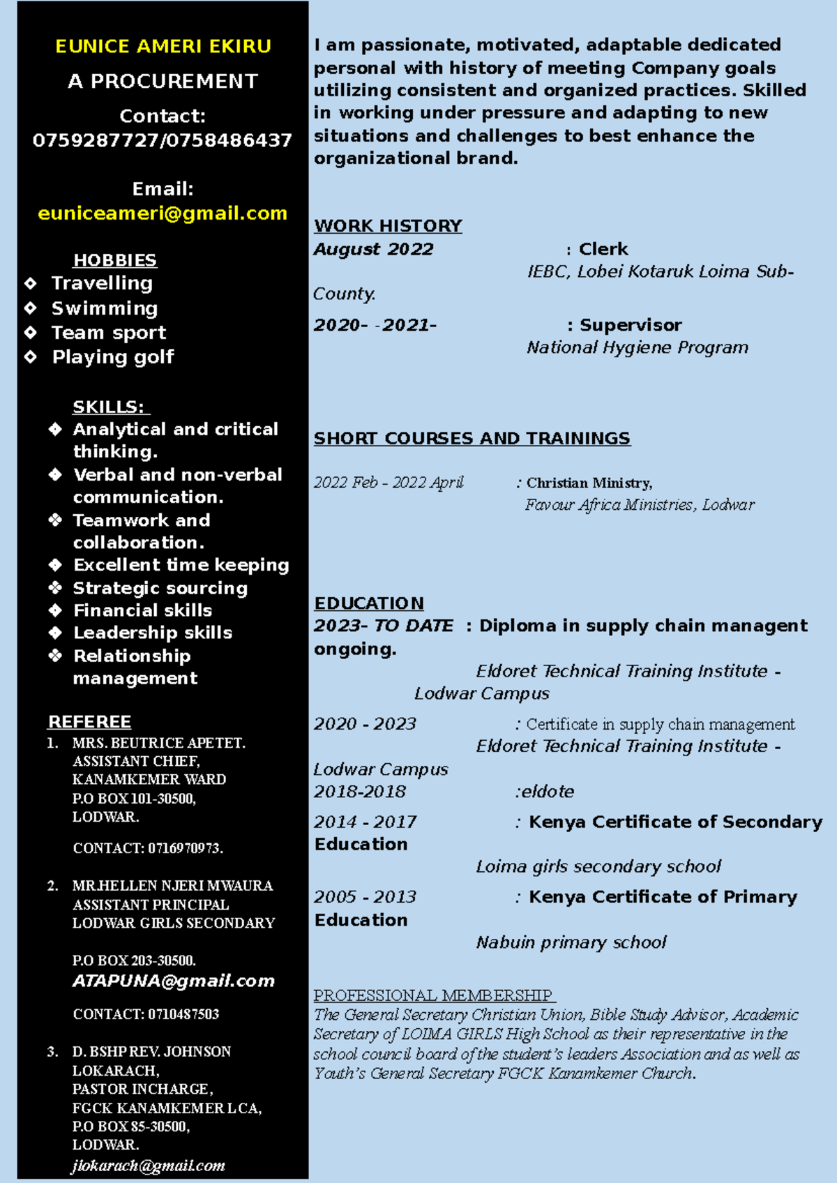 Eunice Ameri Ekiru's CV - Professional Experience Overview - Studocu