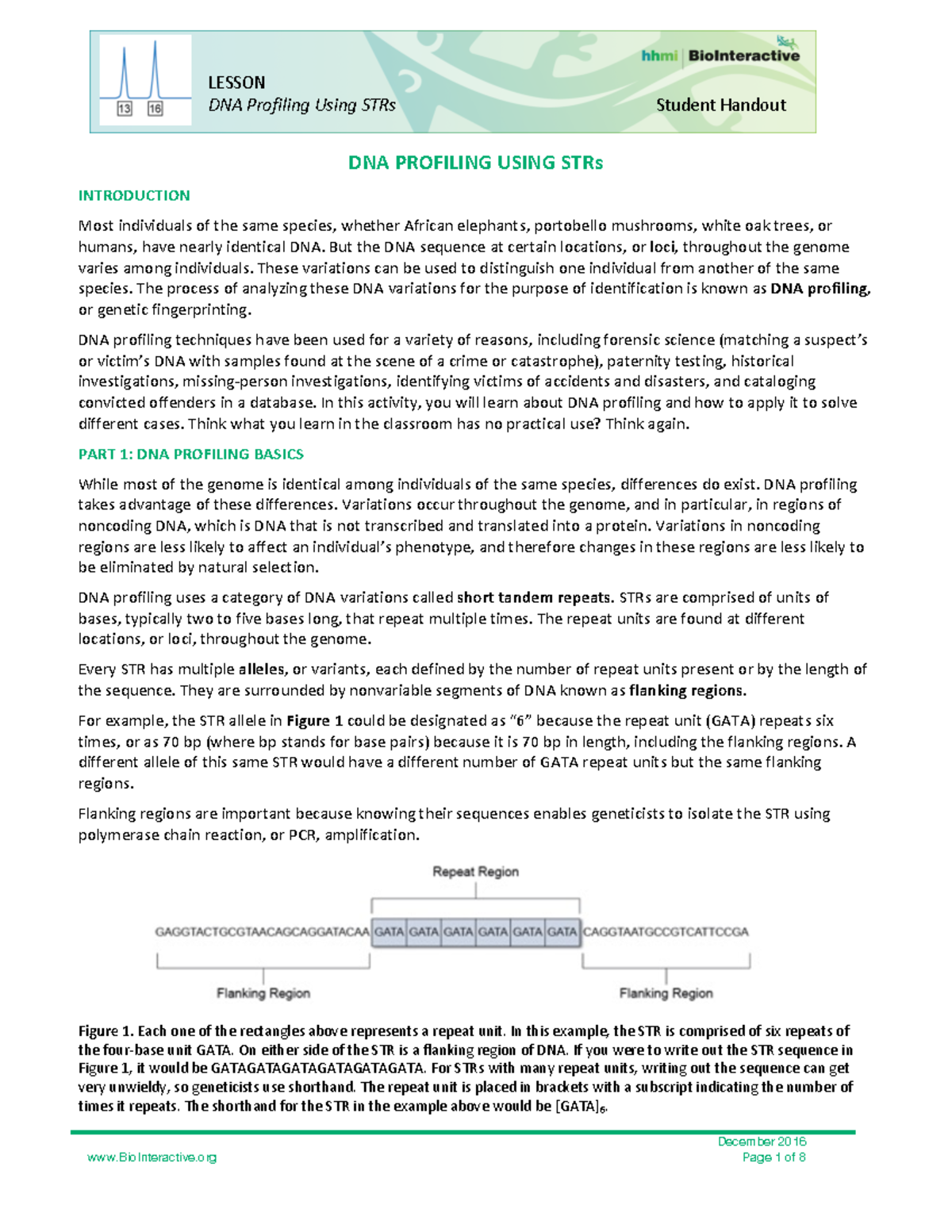 DNA Profiling Using STRs: Student Activity & Analysis Guide - Studocu