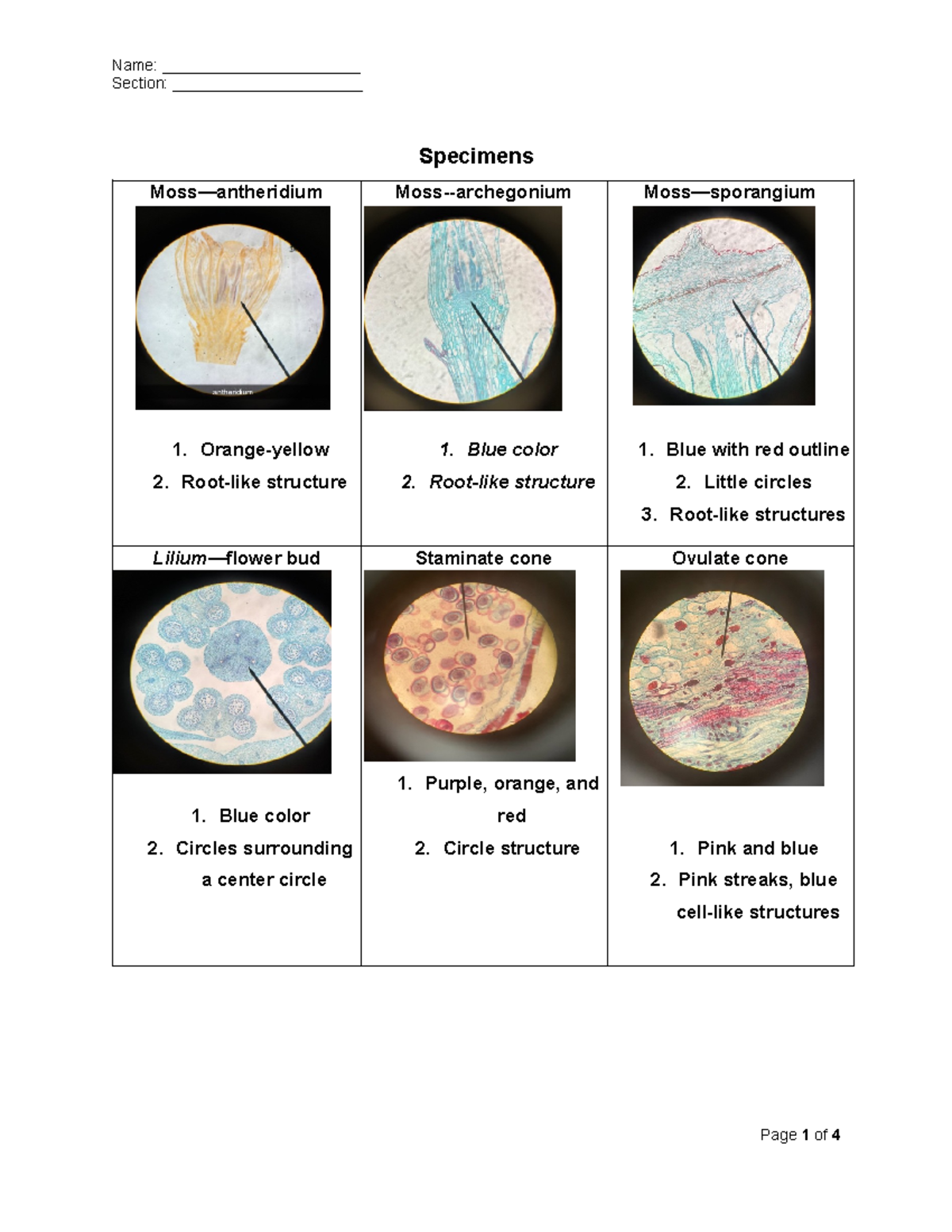 Lab 5: Plants Evolution and Specimen Datasheet - Studocu