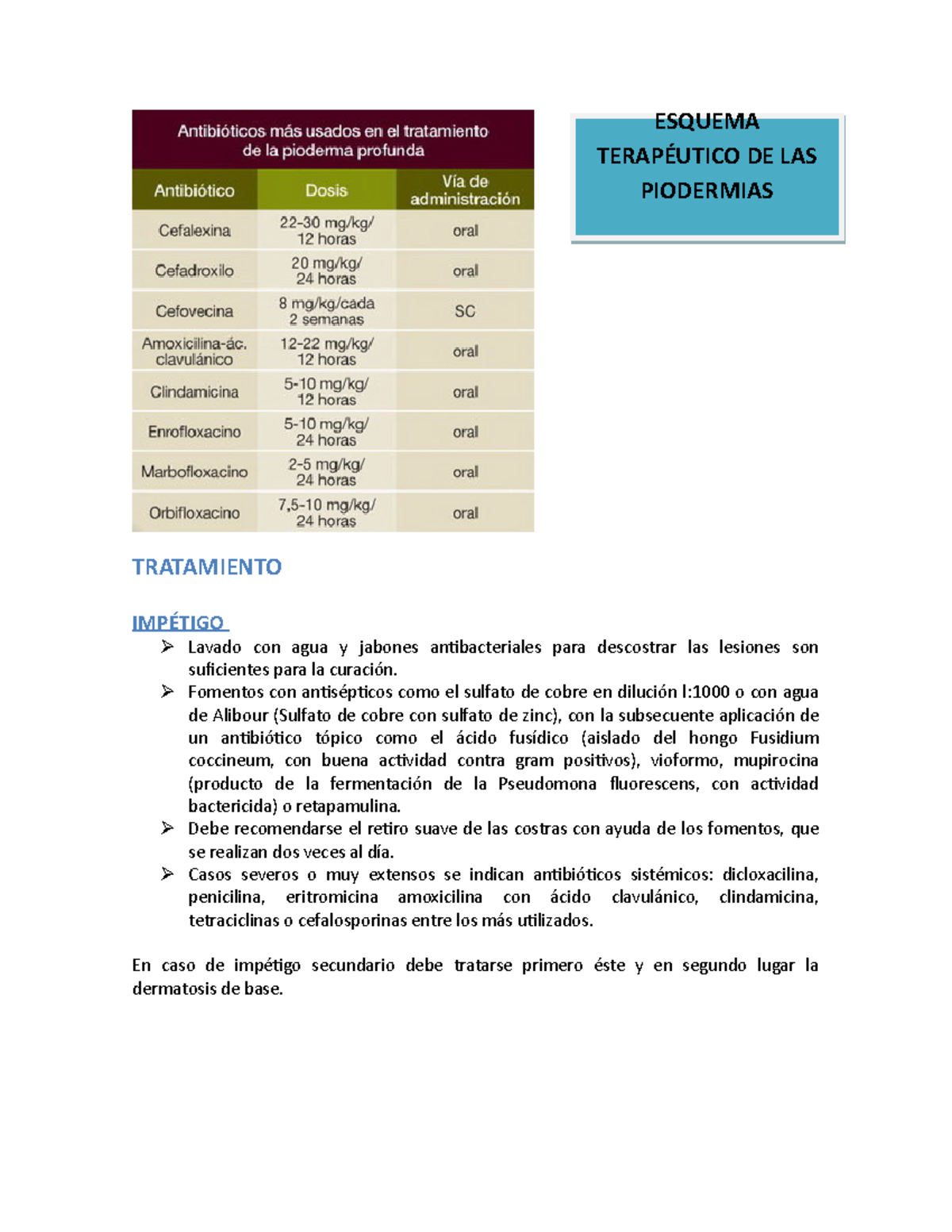 Tratamiento Piodermia - ESQUEMA DE LAS PIODERMIAS TRATAMIENTO Lavado ...