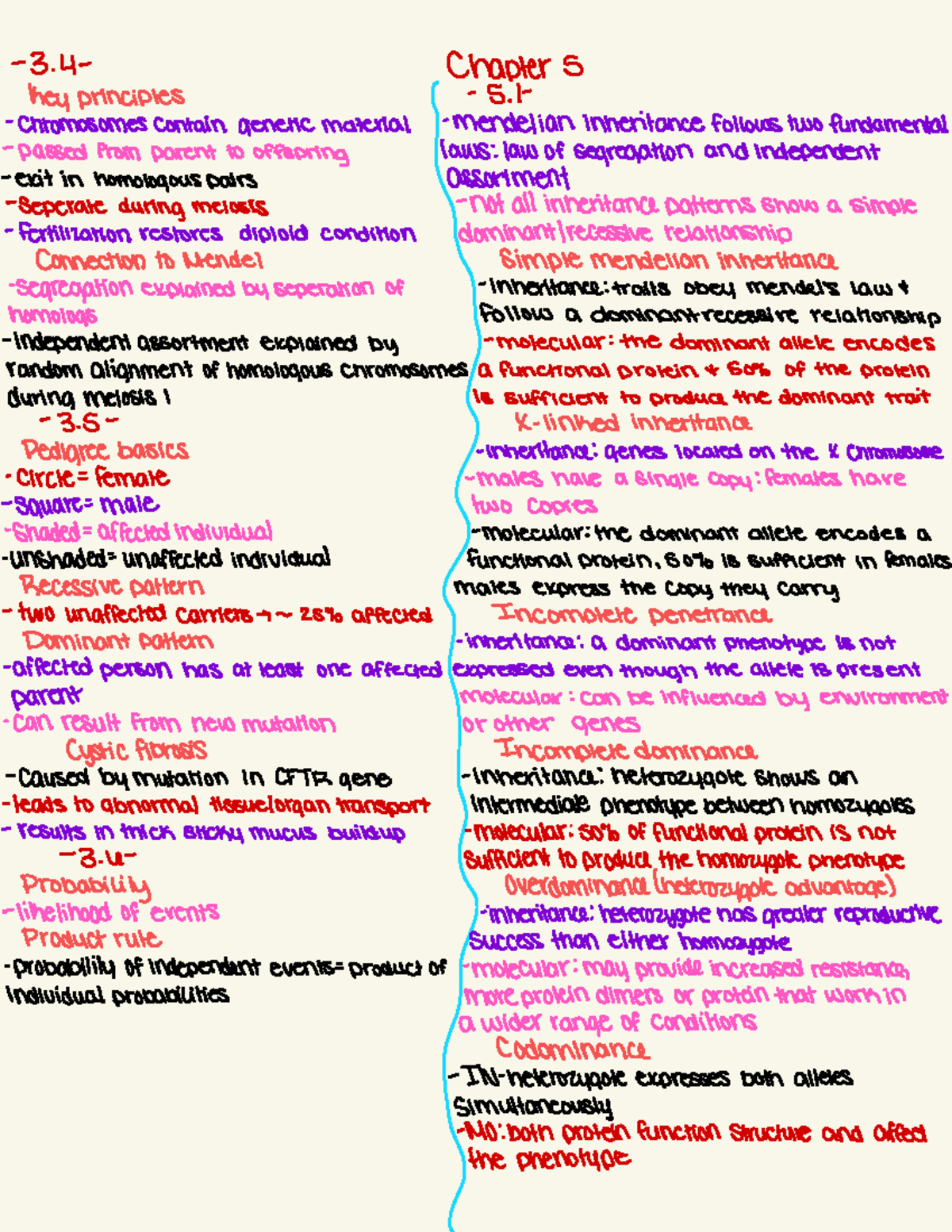 Genetics 101: Mendelian Inheritance Principles & Patterns Overview ...