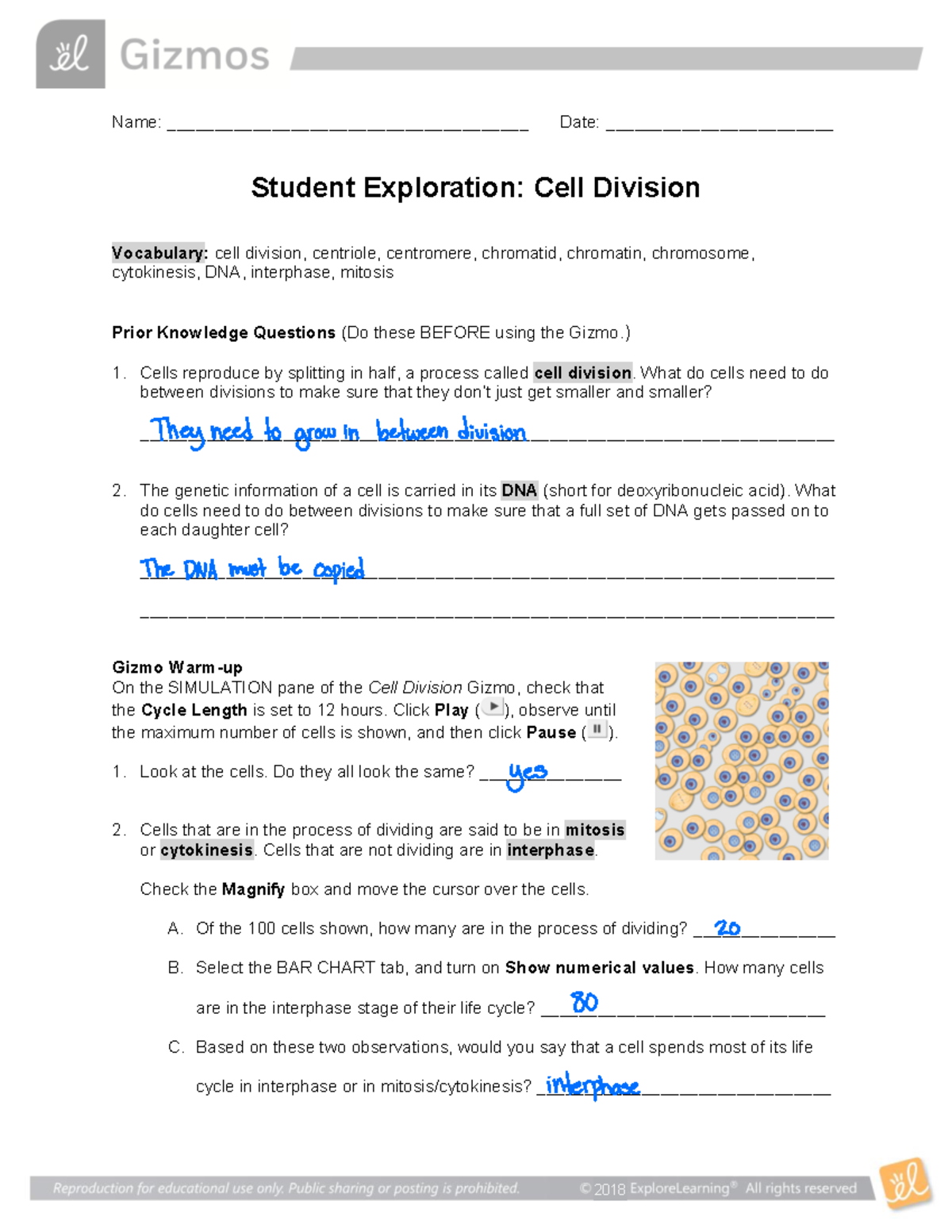 Cell Division Exploration: A Study Guide for BIO 101 Lessons - Studocu