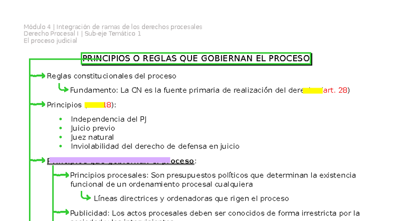 Principios y Reglas del Proceso Judicial - Derecho Procesal I - Studocu