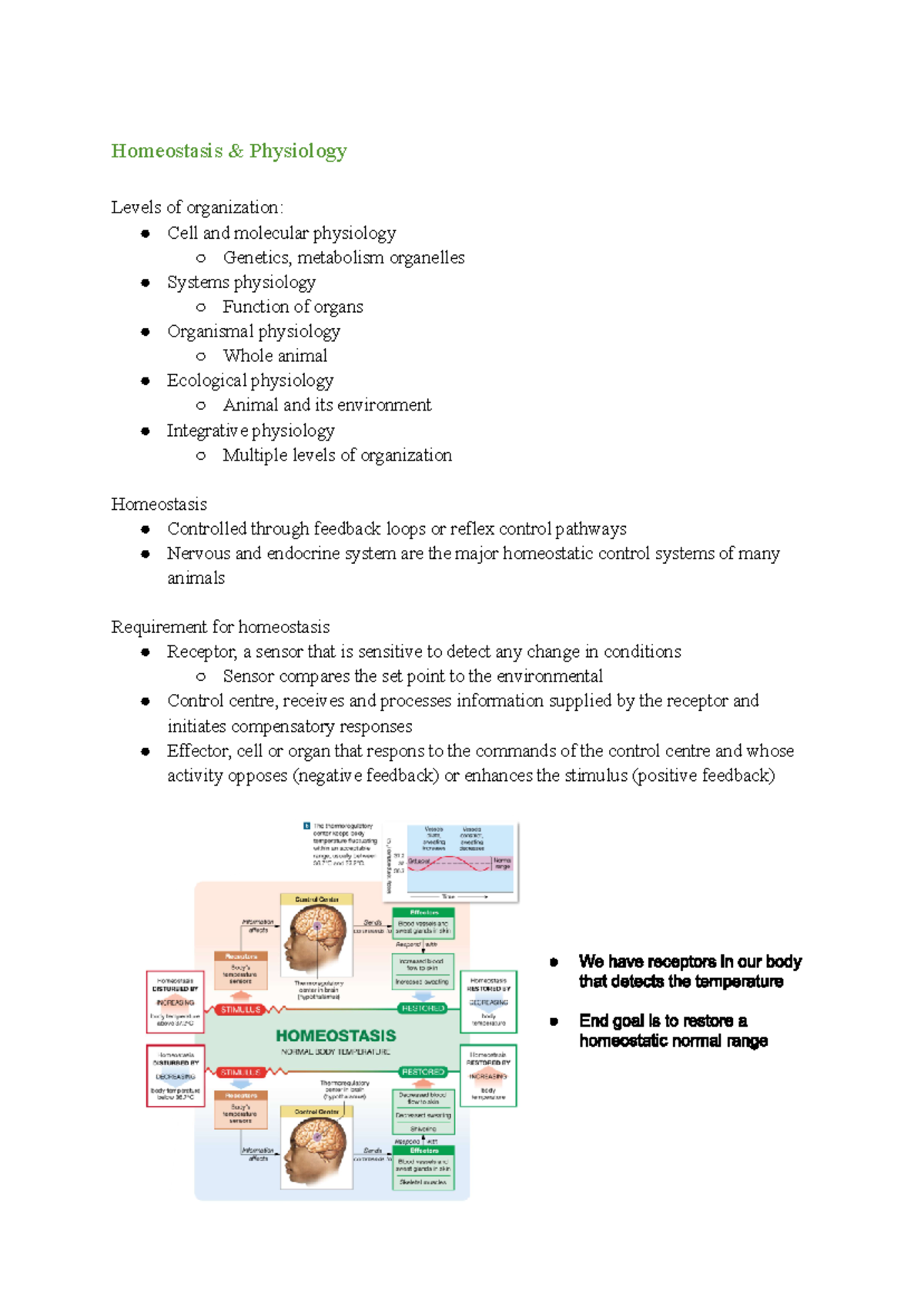 Biology 2A03 Homeostatis part 1 - Homeostasis & Physiology Levels of ...