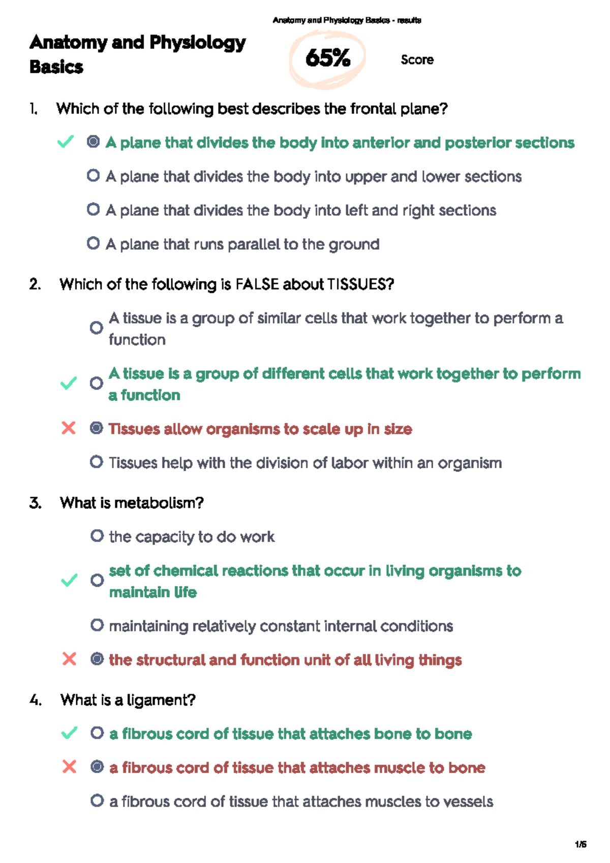 TEST: Anatomy and Physiology Basics Review and Results - Studocu