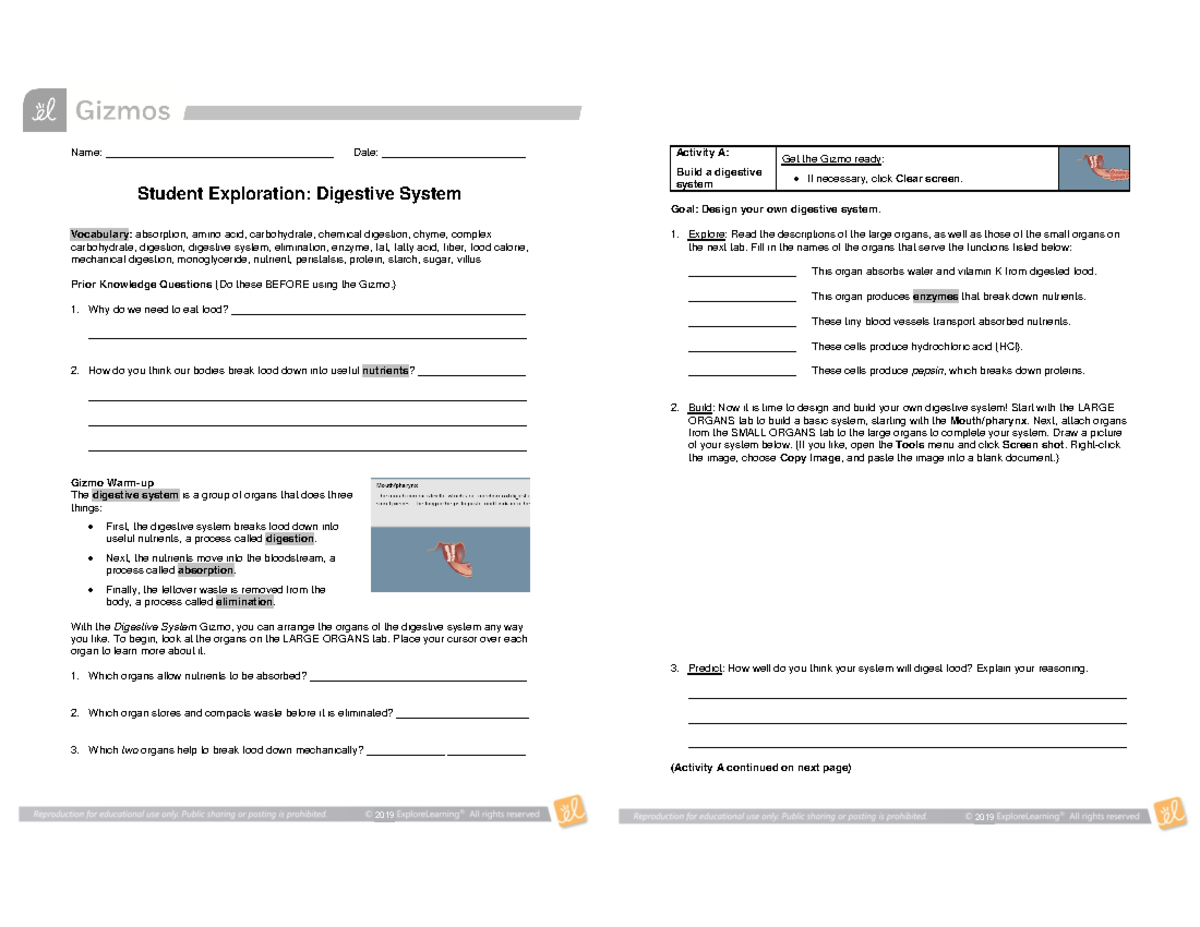 Exploration of the Digestive System with Gizmo (2019) - Studocu