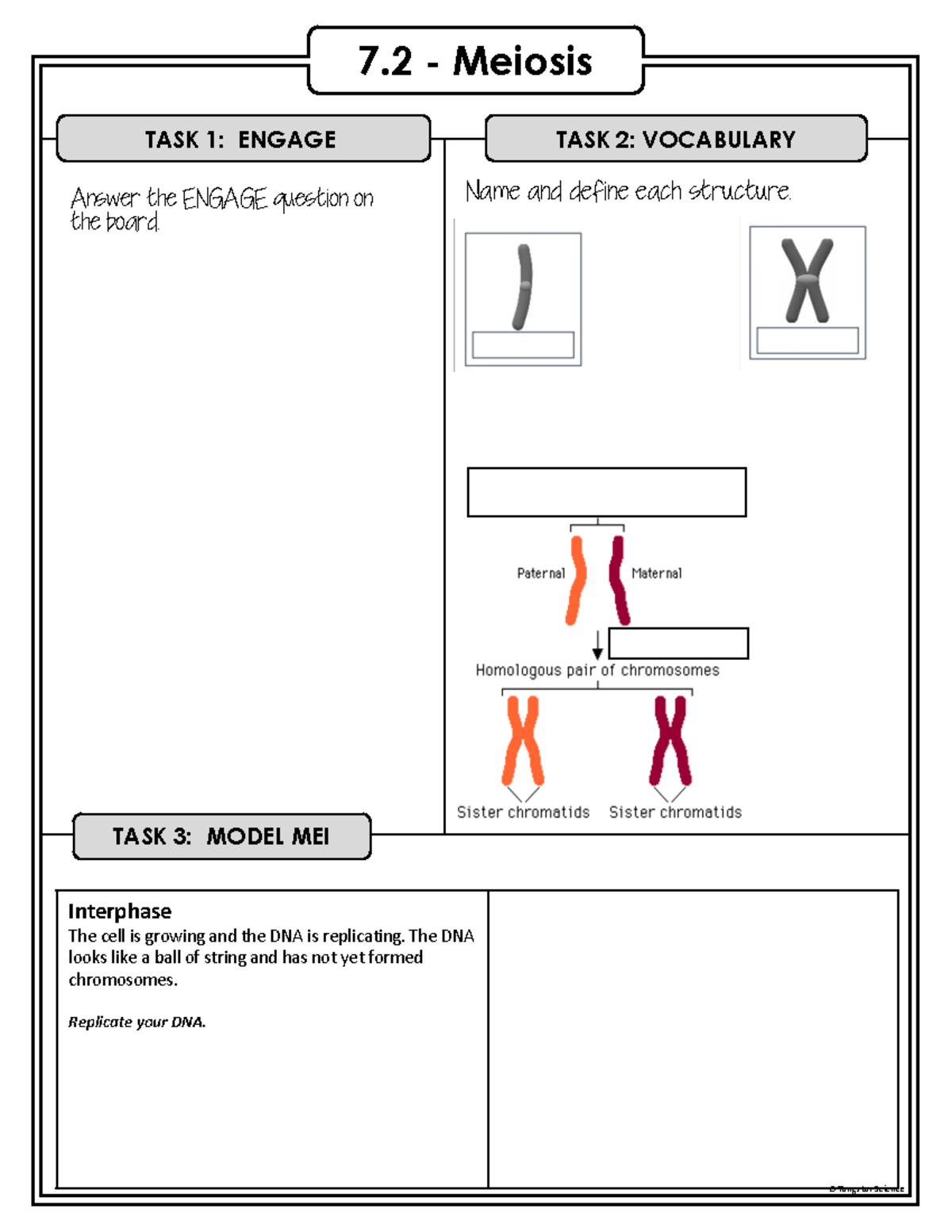7.2 - Meiosis Models - Class notes - TASK 1: ENGAGE TASK 2: VOCABULARY ...