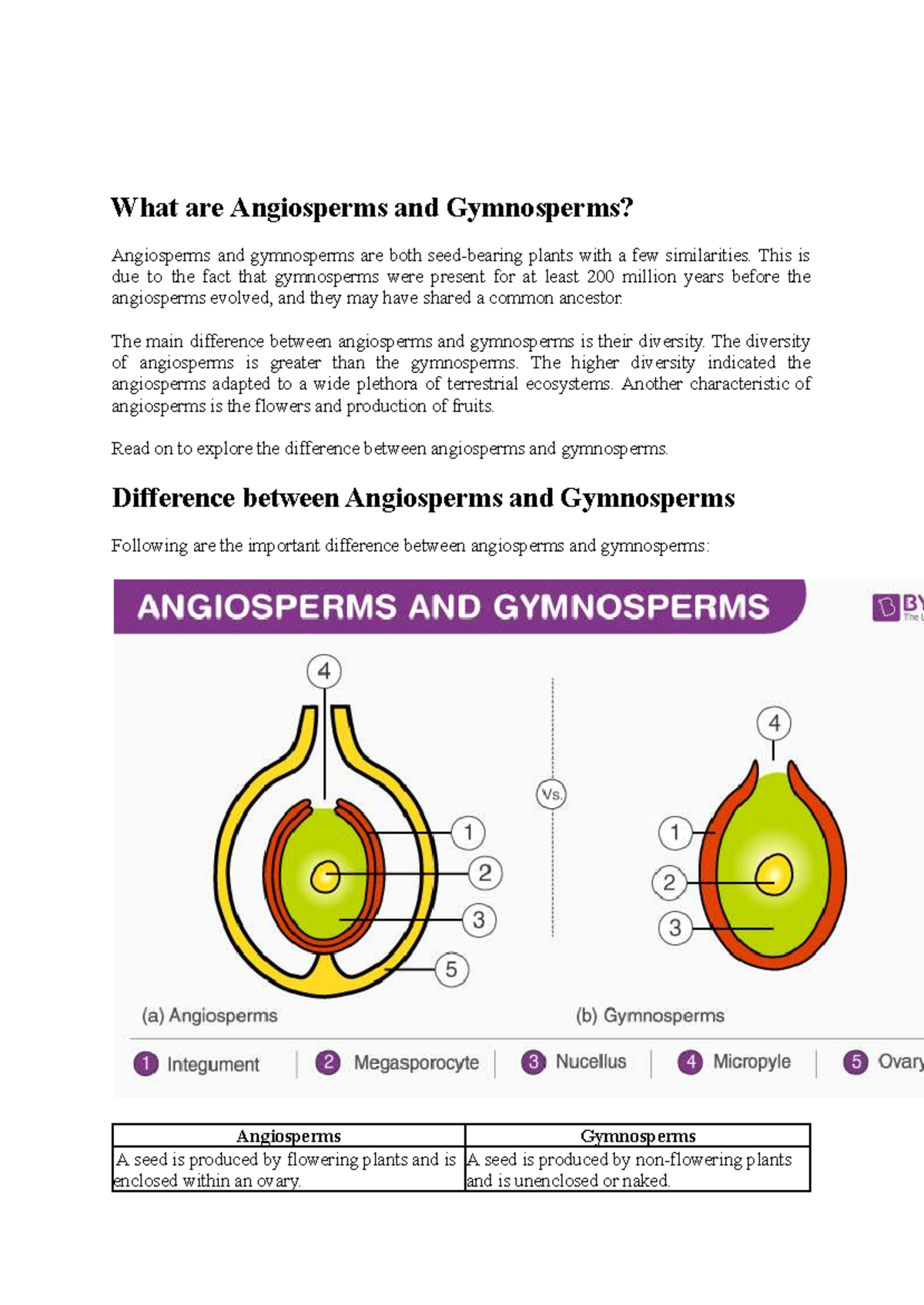 Angiosperms vs Gymnosperms: Key Differences Explained - Studocu