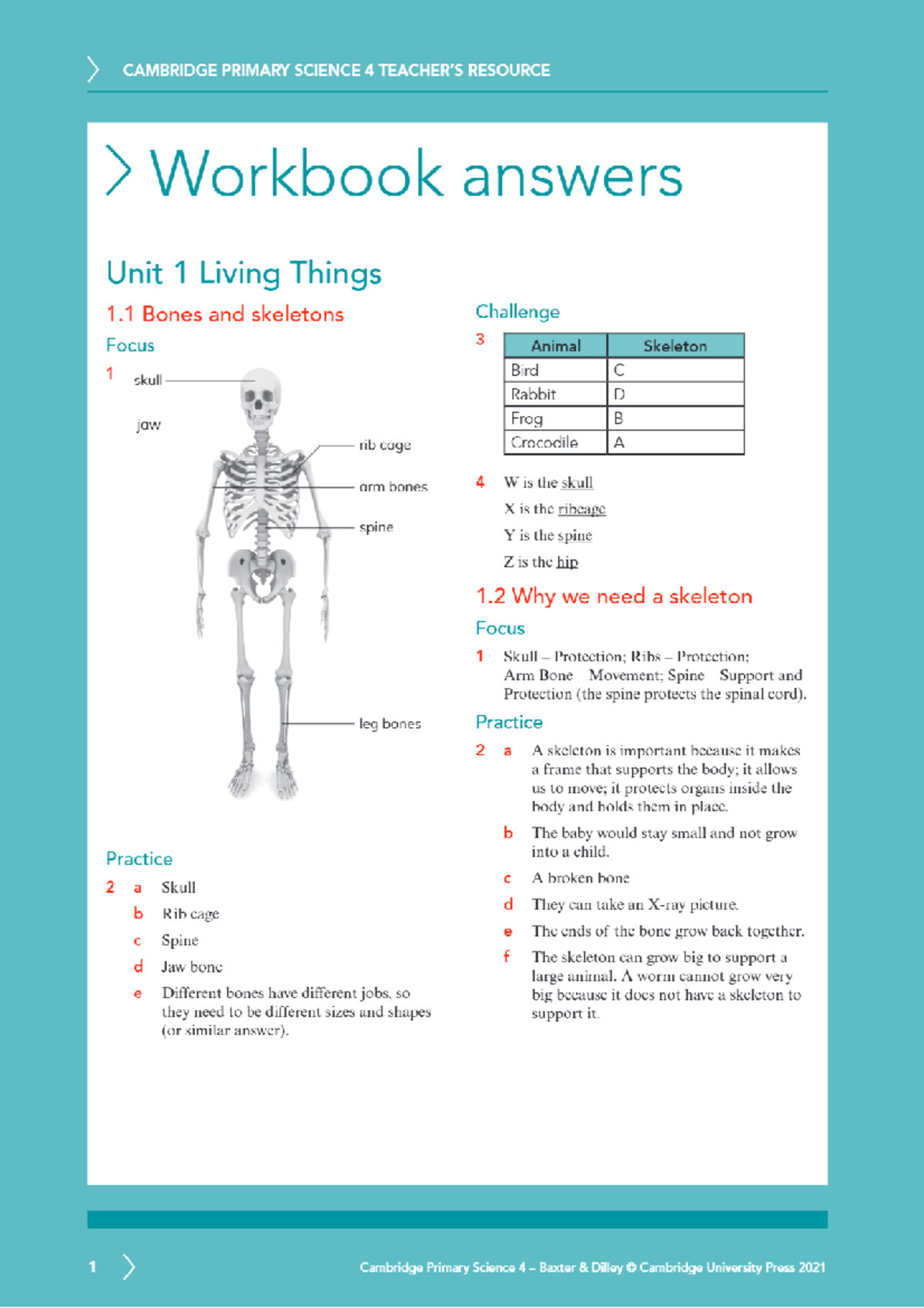 P Science 4 Workbook Answers: Comprehensive Solution Guide - Studocu