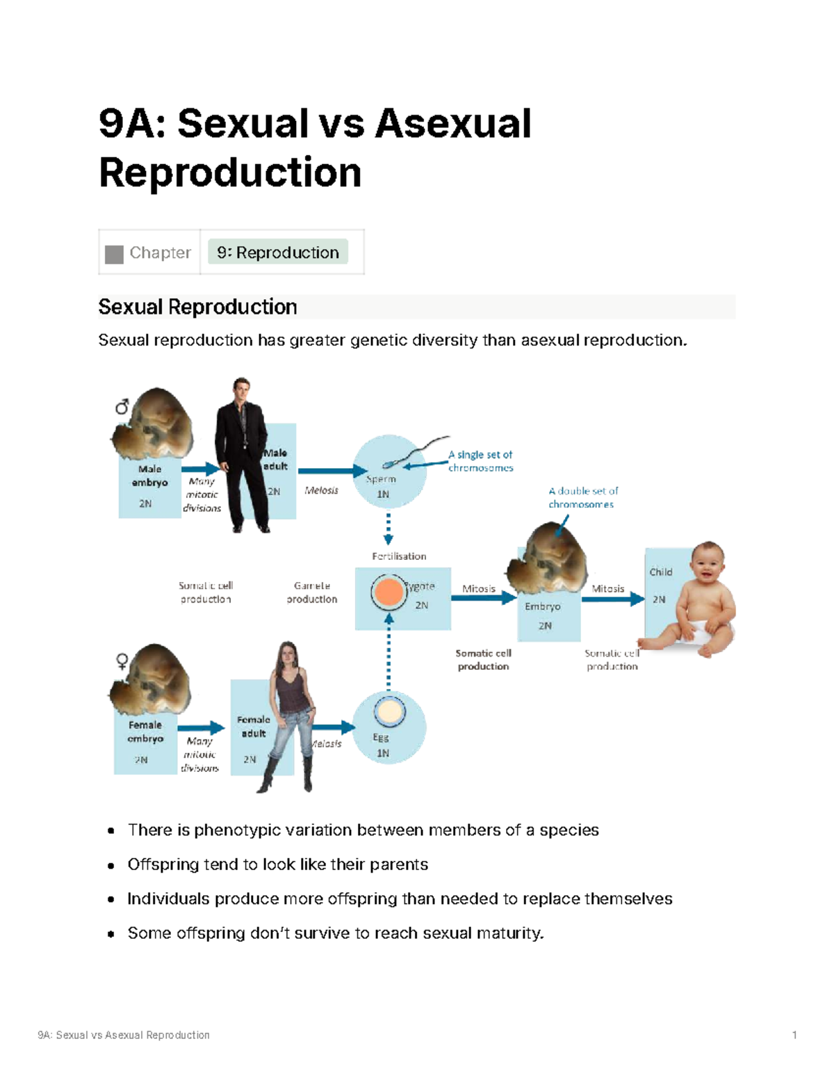 9A: Sexual vs Asexual Reproduction - Chapter Overview and Key Concepts ...