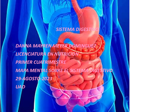 [Solved] Apfisis Unciforme funcion y relacion - Anatomia y disecciones ...