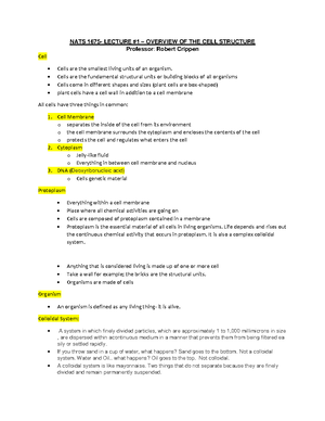 Enzyme Activity Lab Report - Lab # 11: Enzyme Activity I. Abstract ...