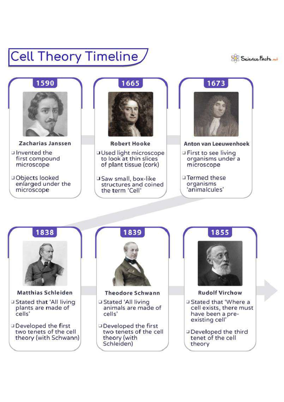Cell Theory Timeline: Key Discoveries in Cell Science - Studocu