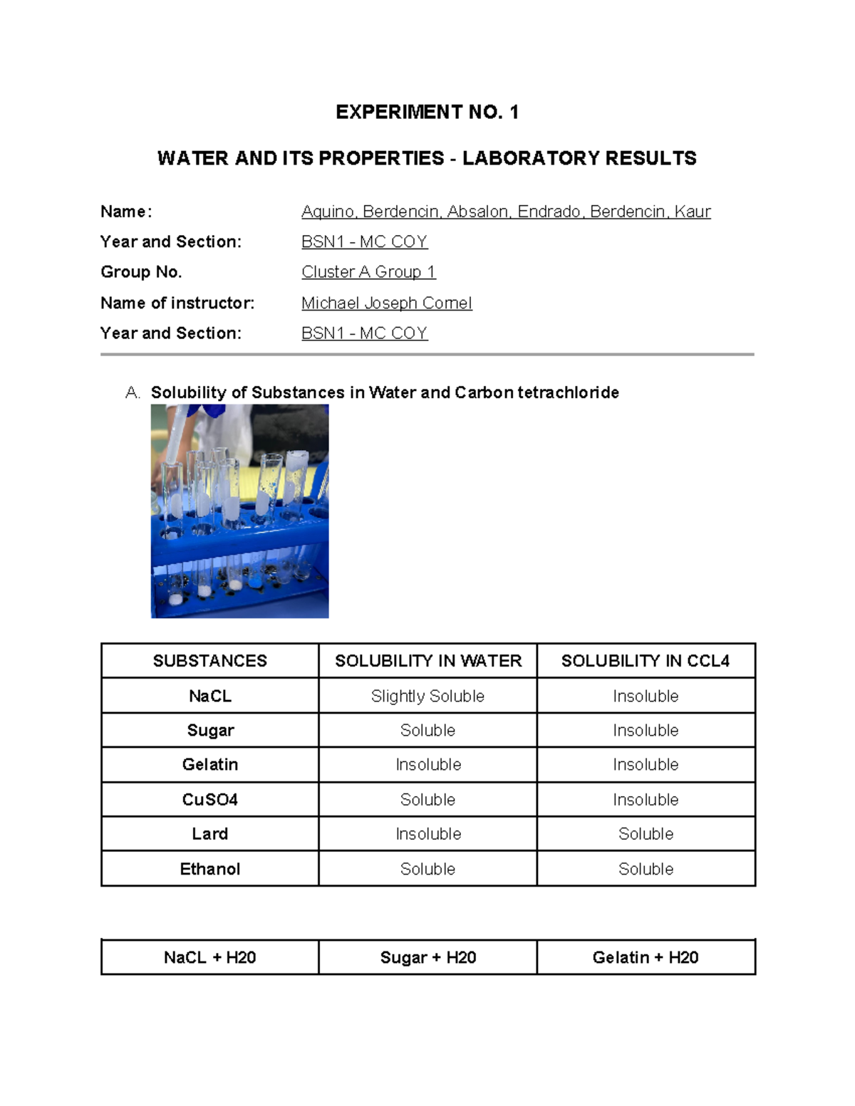 Bio Chem Lab Results: Water Properties - Exp No. 1 (BSN1 - MC COY ...