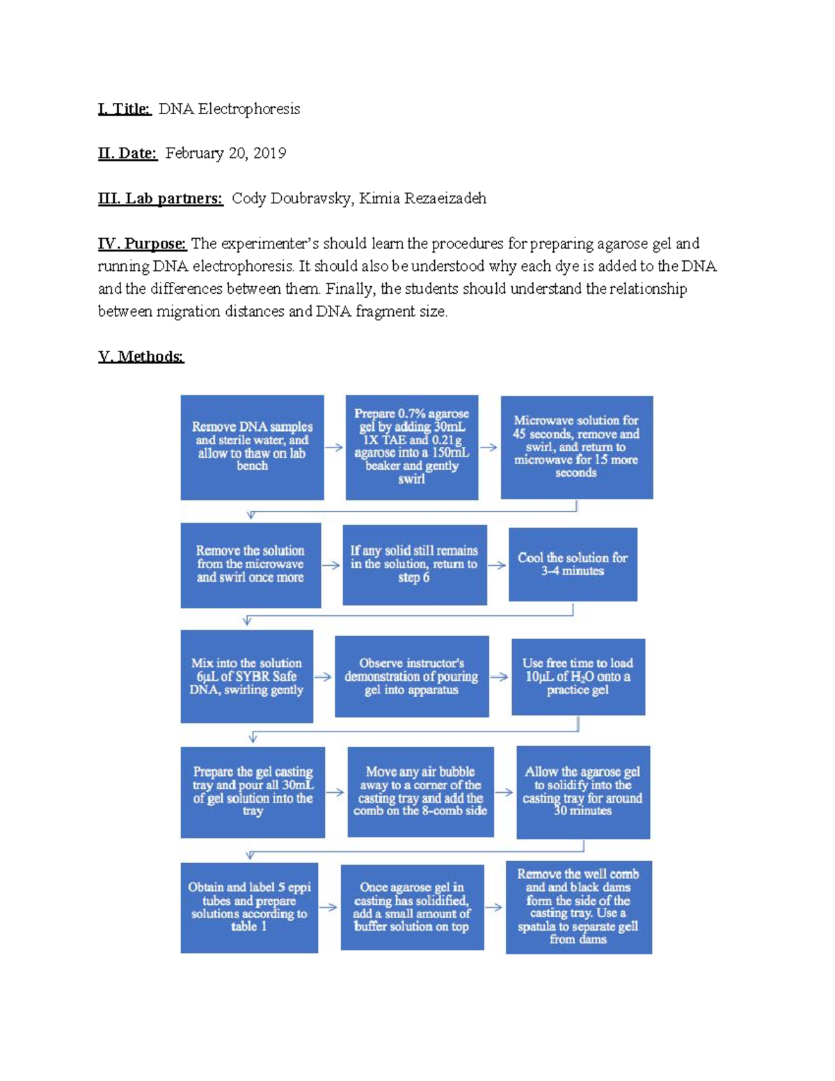 Lab 6 DNA Electrophoresis - I. Title: DNA Electrophoresis II. Date ...