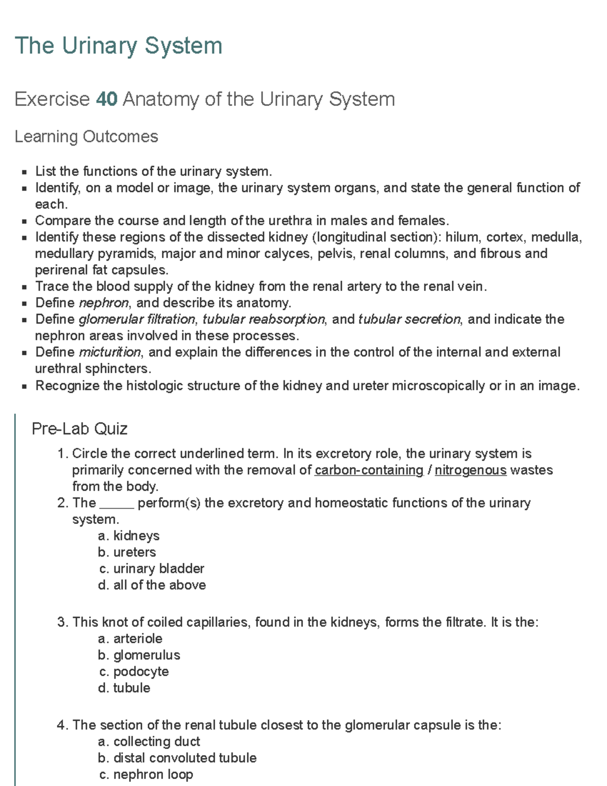 Pre Lab 40 - Urinary System Anatomy Quiz and Learning Outcomes - Studocu