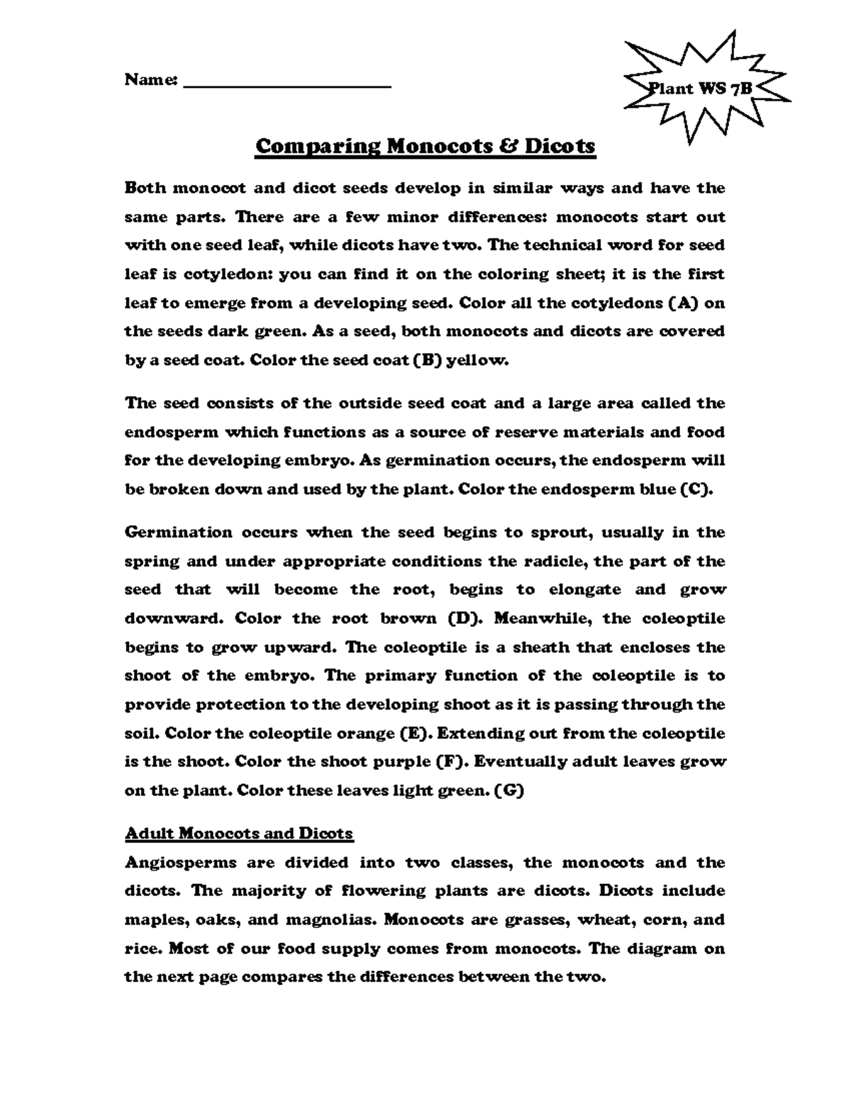 Plant WS 7B: Monocots vs. Dicots Activity Guide - Studocu