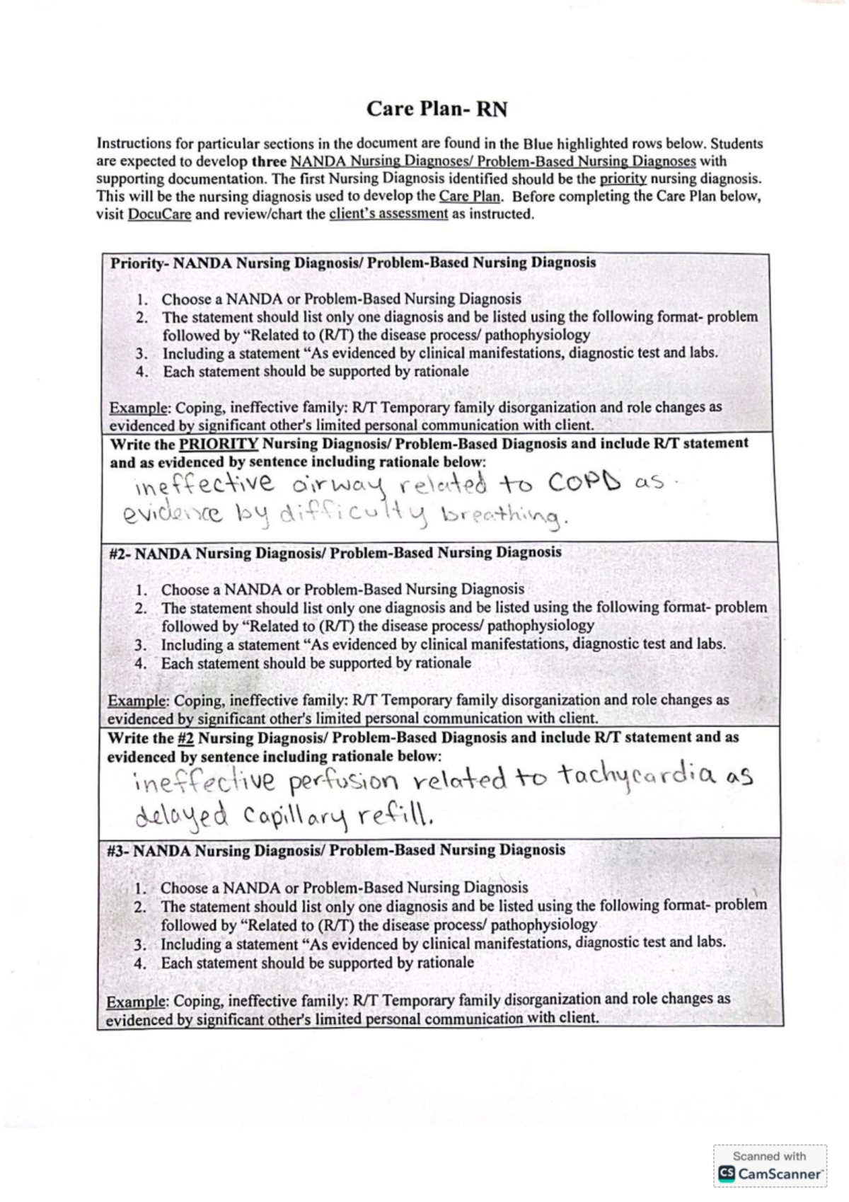 Final care plan - Care RN Instructions for particular sections in the ...