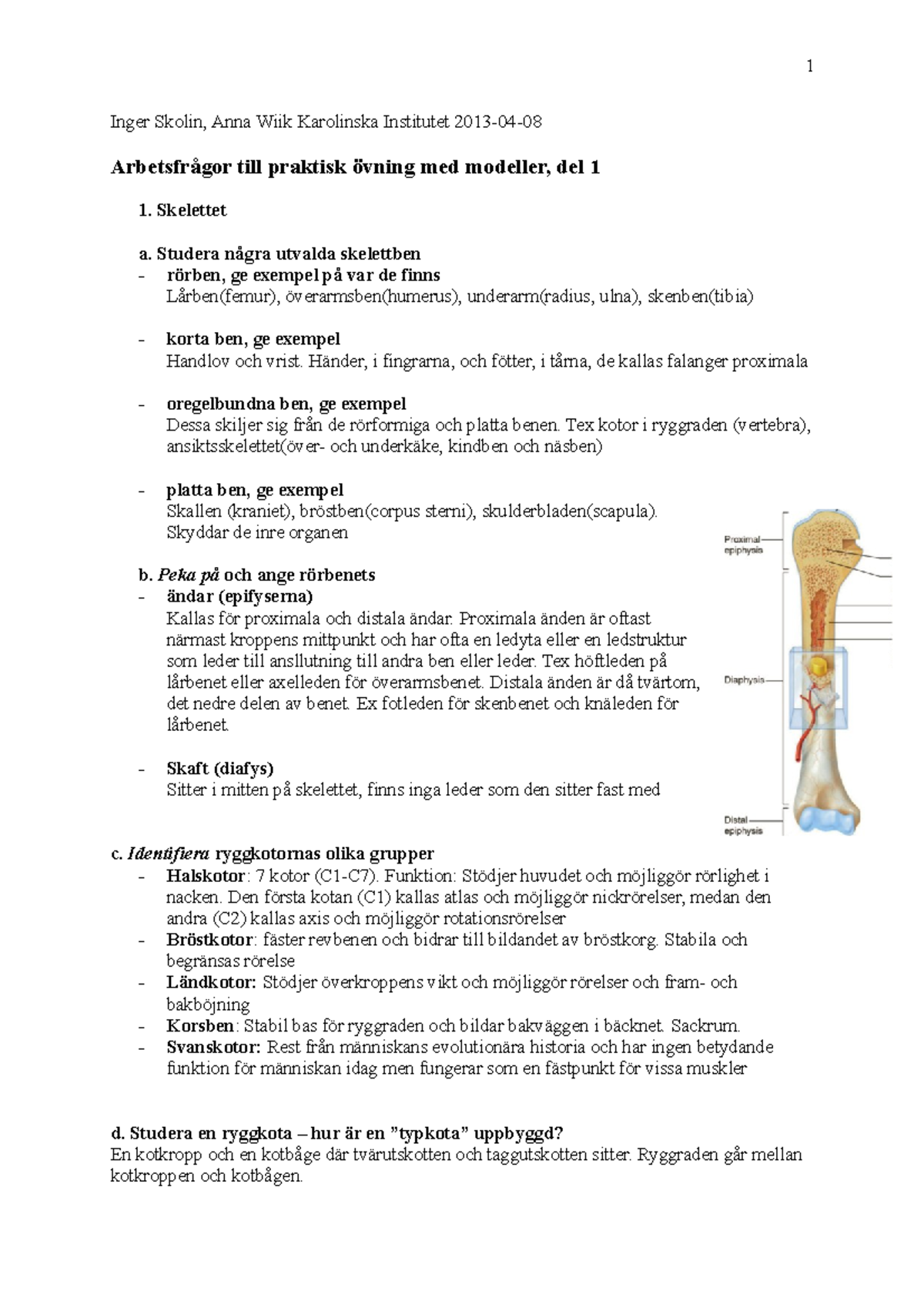 Anatomisk terminologi kursstart - Inger Skolin, Anna Wiik Karolinska ...