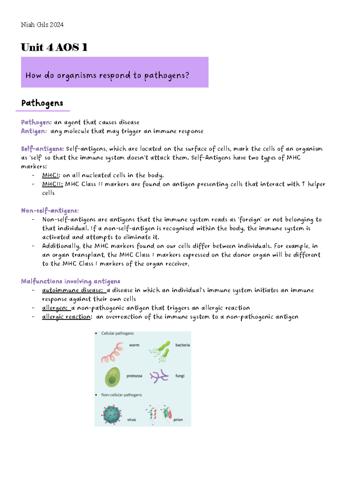 Biology 2024 Unit 4 AOS 1: Immune Responses to Pathogens Explained - Studocu