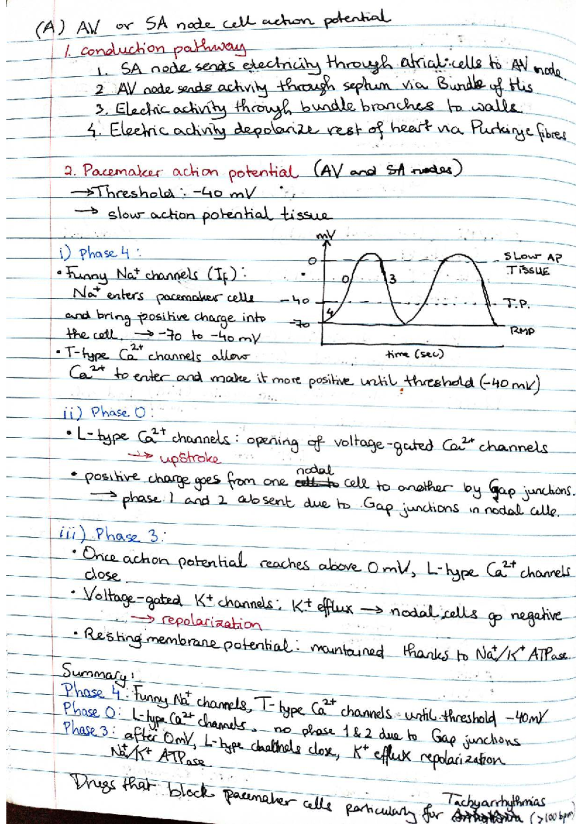 Arrhythmia General Notes: Understanding AV and SA Node Action ...