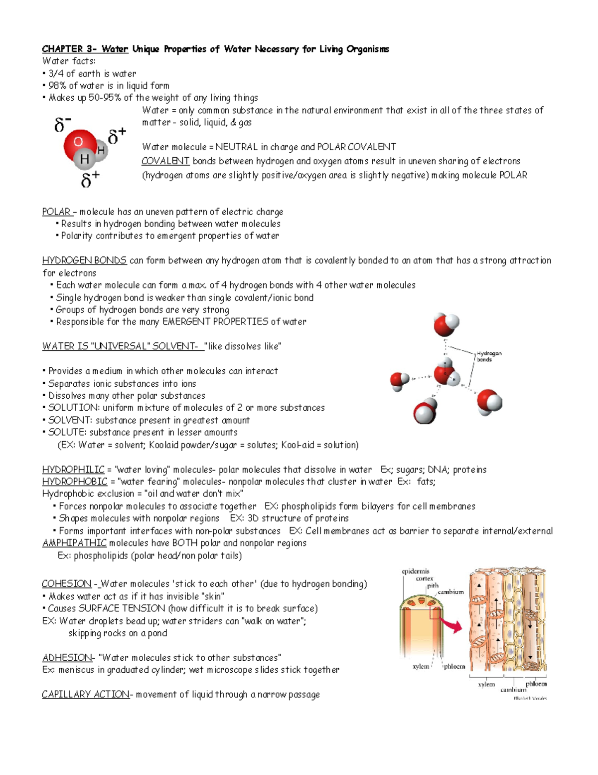 CHAPTER 3: Unique Properties of Water and Their Importance in Biology ...