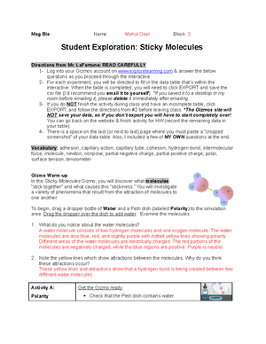 Gizmo: Human Evolution - Student Exploration: Human Evolution Skull ...