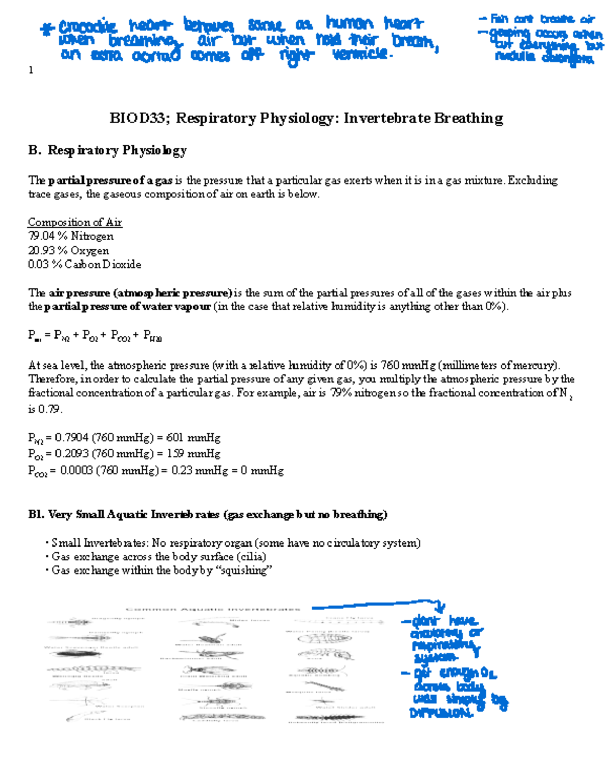 Breathing Mechanisms in Invertebrates: A Study on Respiratory ...