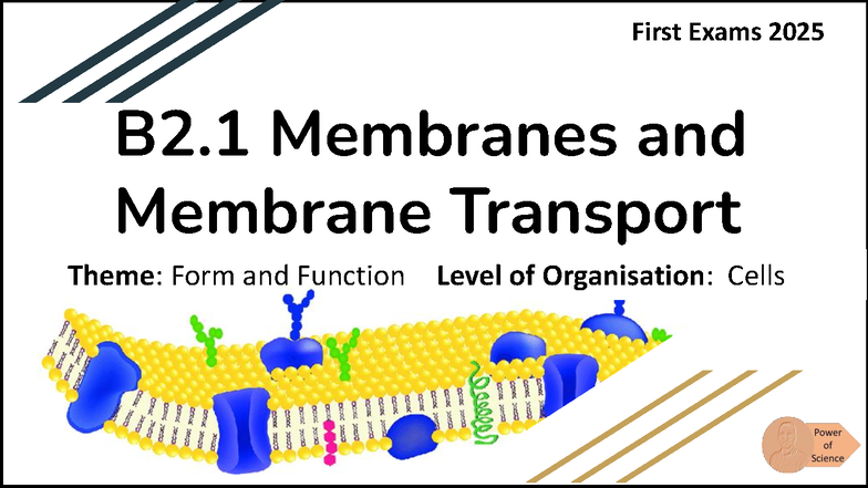 Membrane Structure & Transport Overview - IB Biology B2.1 Final Exam ...