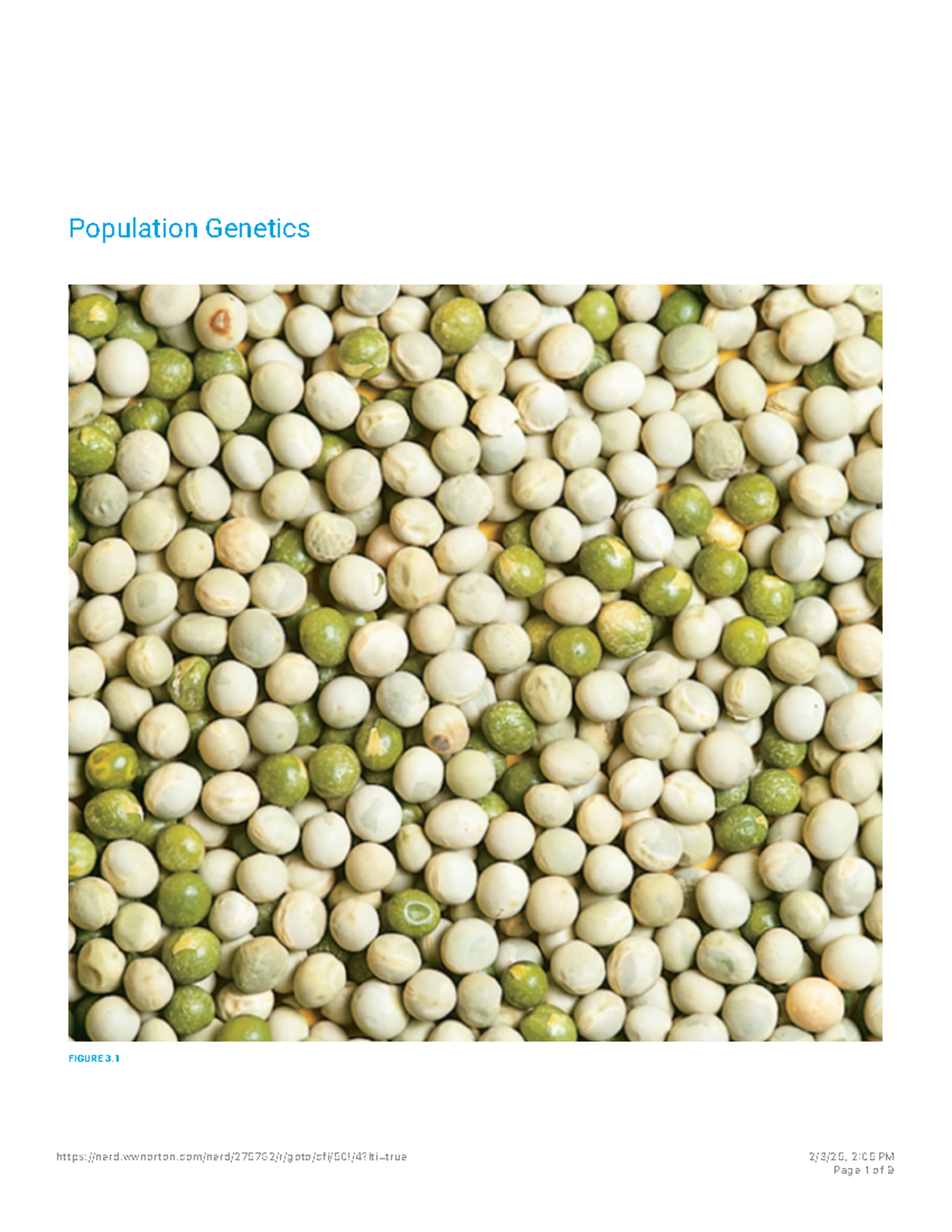 Population Genetics: Understanding Genotype Frequencies in PKU ...