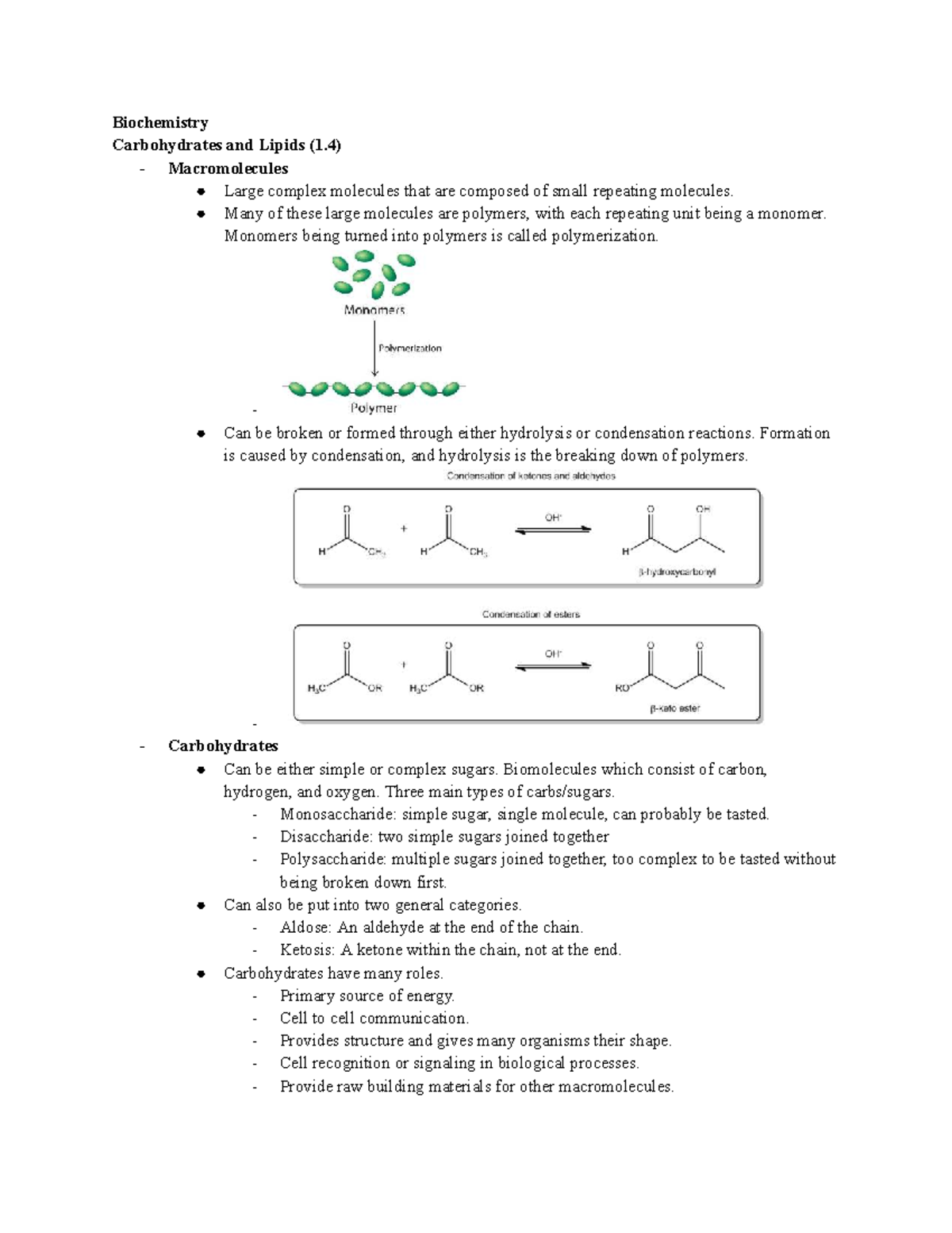 Biochemistry of Carbohydrates and Lipids: Grade 12 Biology (1.4) - Studocu