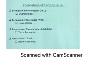 Anemia classification MCV - CLASSIFICATION OF ANEMIA BASED ON RBC ...
