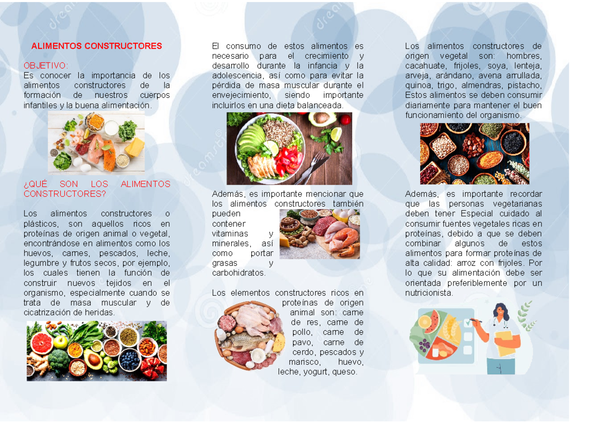 Alimentos Constructores: Importancia y Fuentes en la Dieta - Studocu
