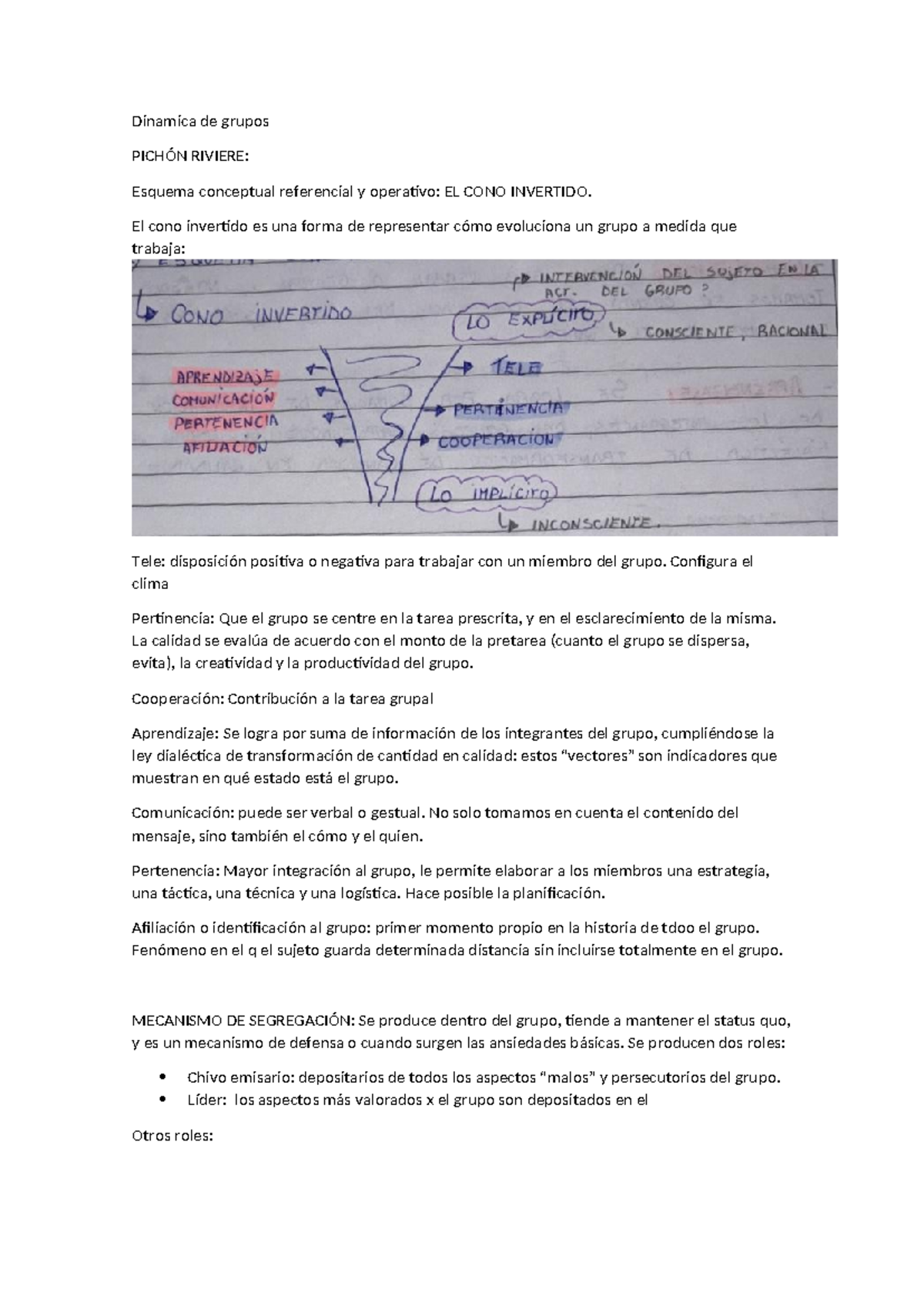 Dinamica de Grupos PICHÓN RIVIERE: Primer Parcial Resumen - Studocu