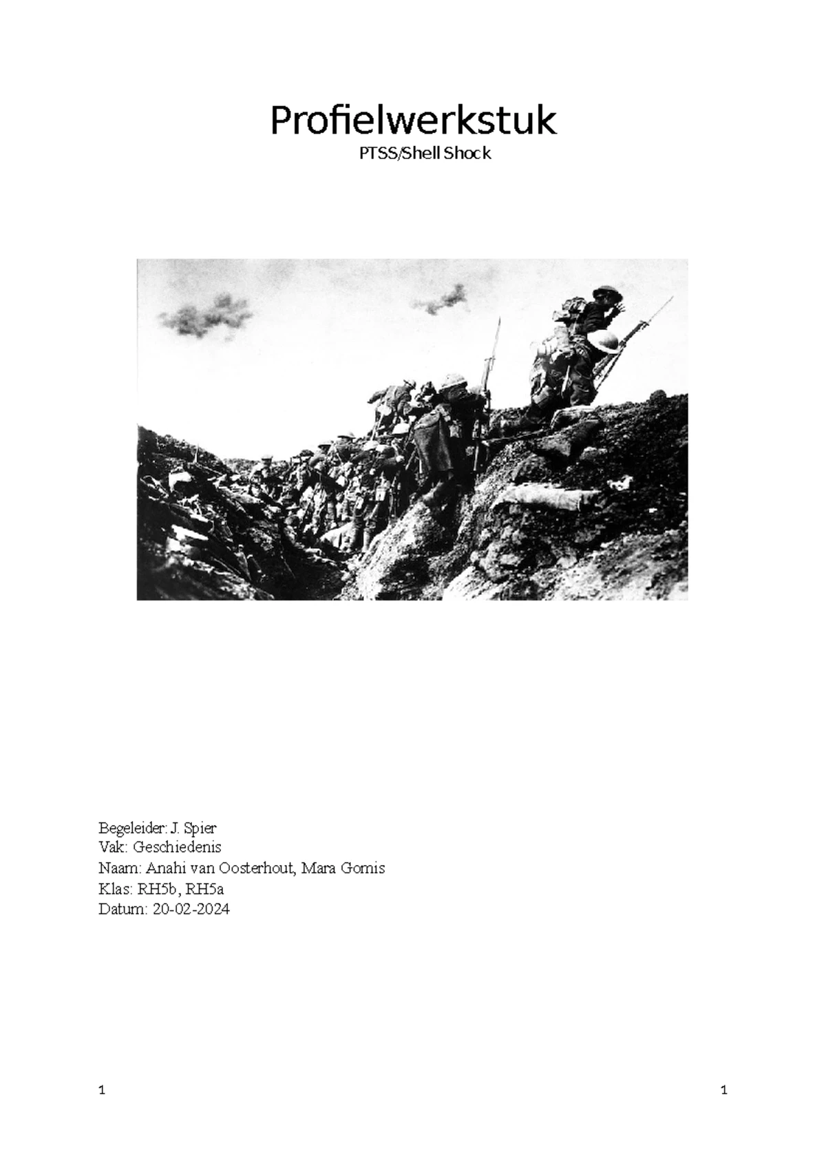 Handleiding Profielwerkstuk HAVO 2024-2025: Definitieve Versie ...