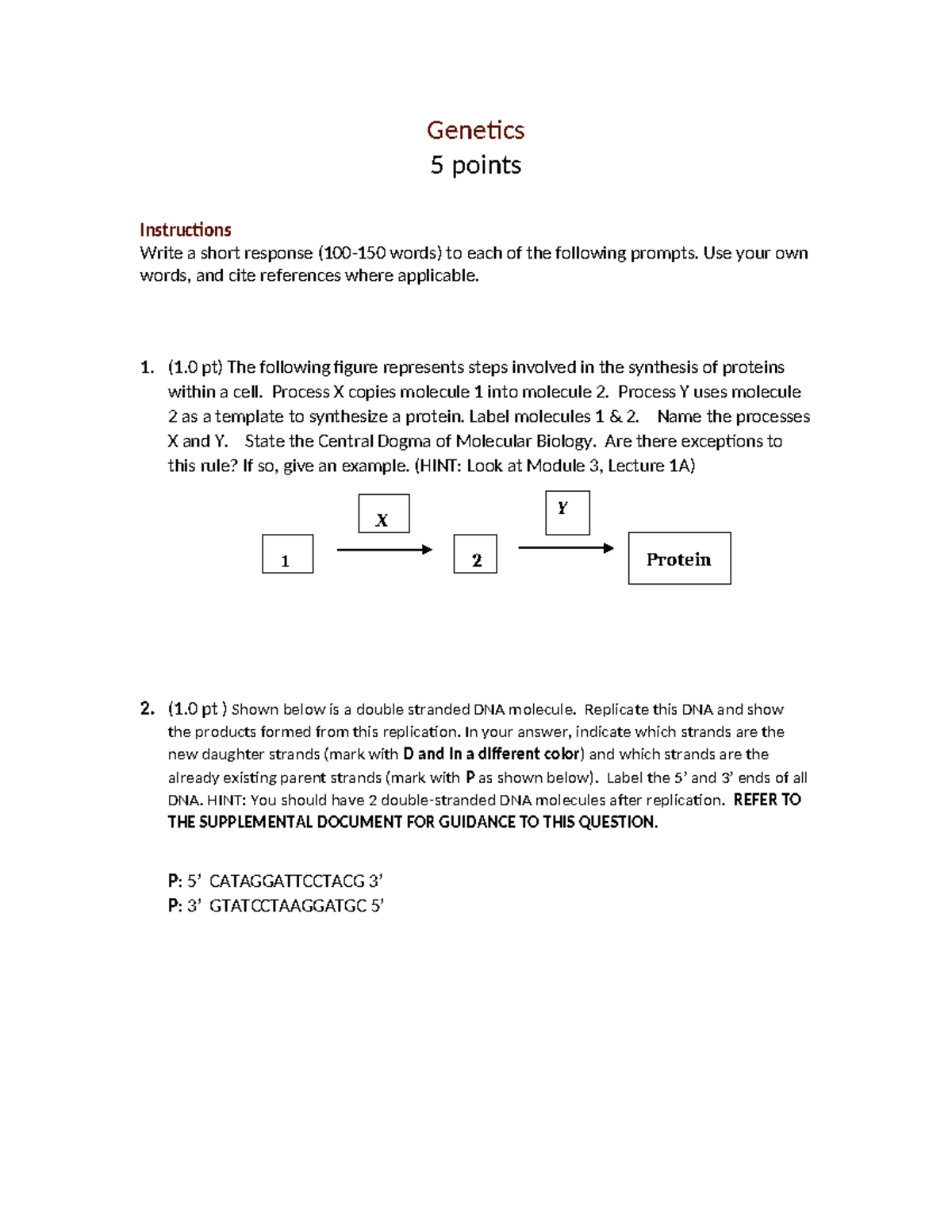 3MIC 205 Week 3 Genetics Worksheet: Protein Synthesis & Mutations - Studocu