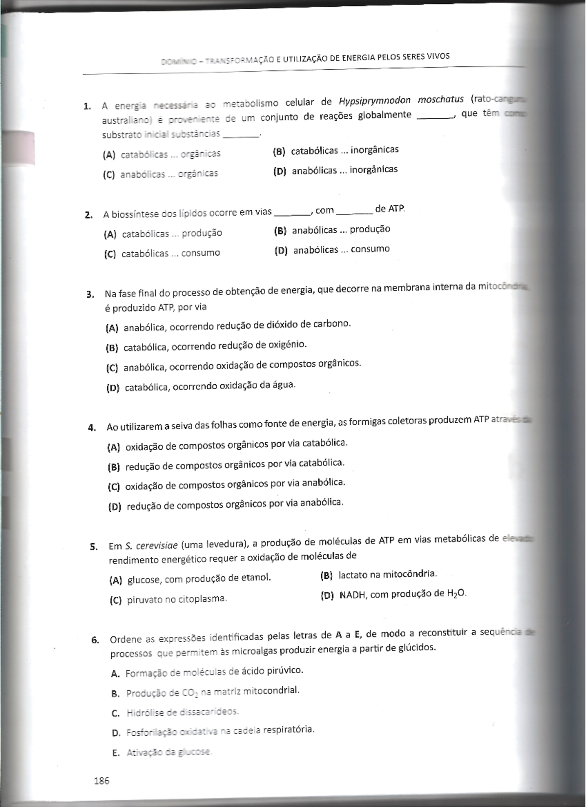 Exercícios de Biologia do Exame BG10: Transformação de Energia em Seres ...
