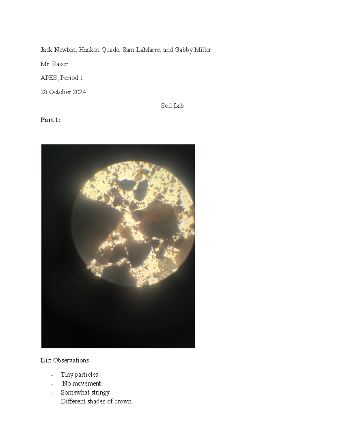 APES Soil Lab Report - Analysis of Soil Composition and Properties ...
