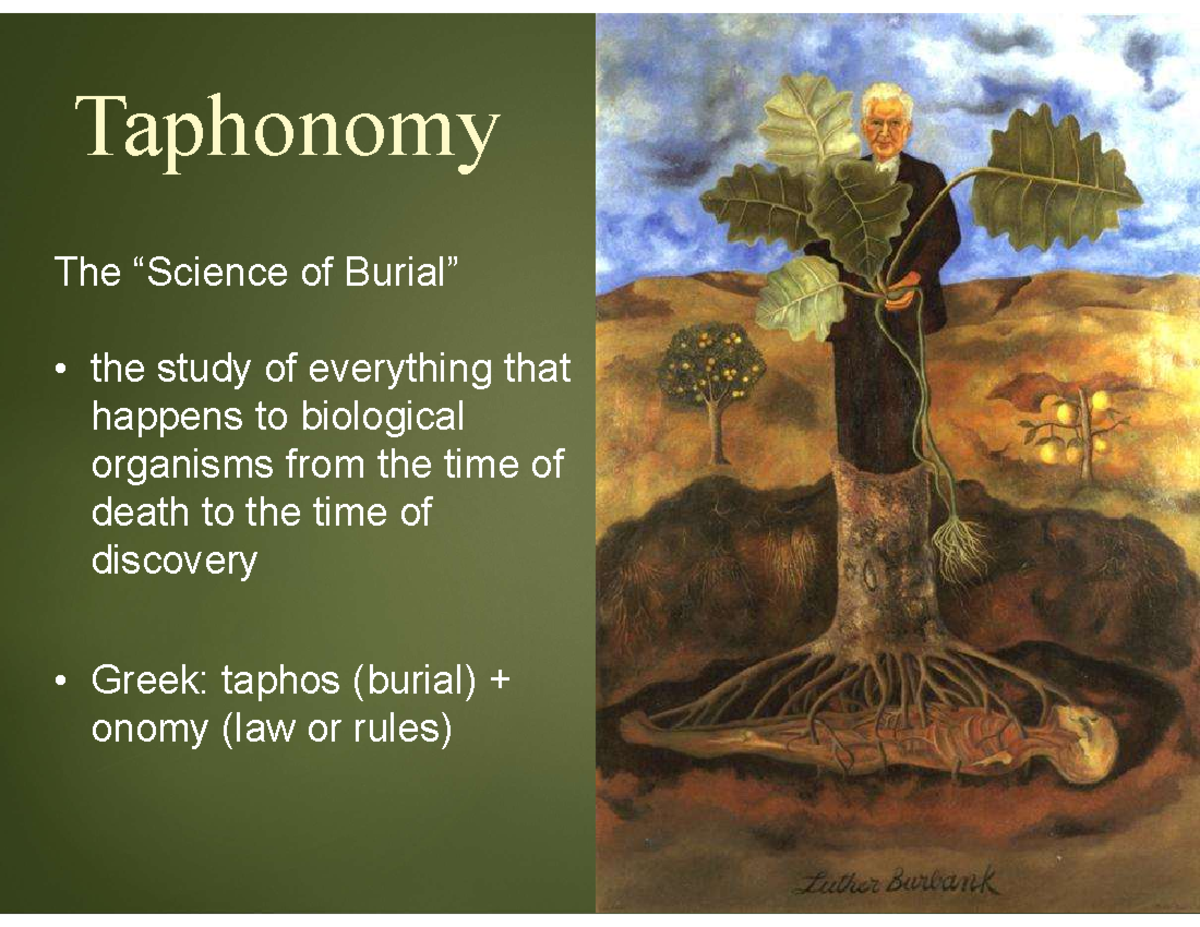 Forensic Taphonomy and Its Role in Postmortem Investigations ...