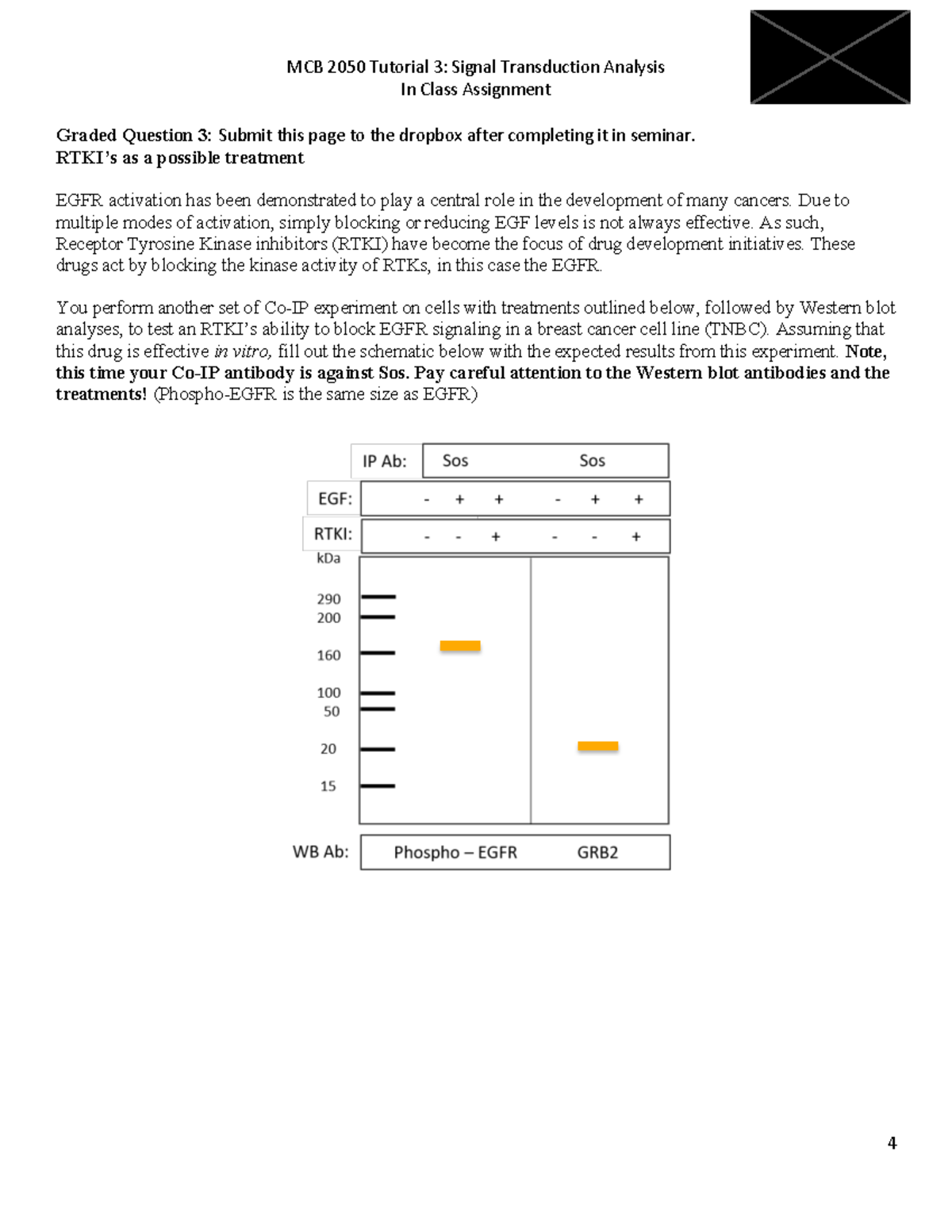 Tutorial 3 Seminar Assignment - MCB 2050 Tutorial 3 : Signal ...