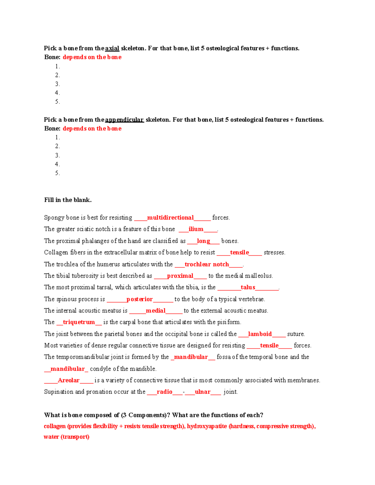 Anatomy Practice Exam #2 Key - Features, Functions & Connective Tissues ...
