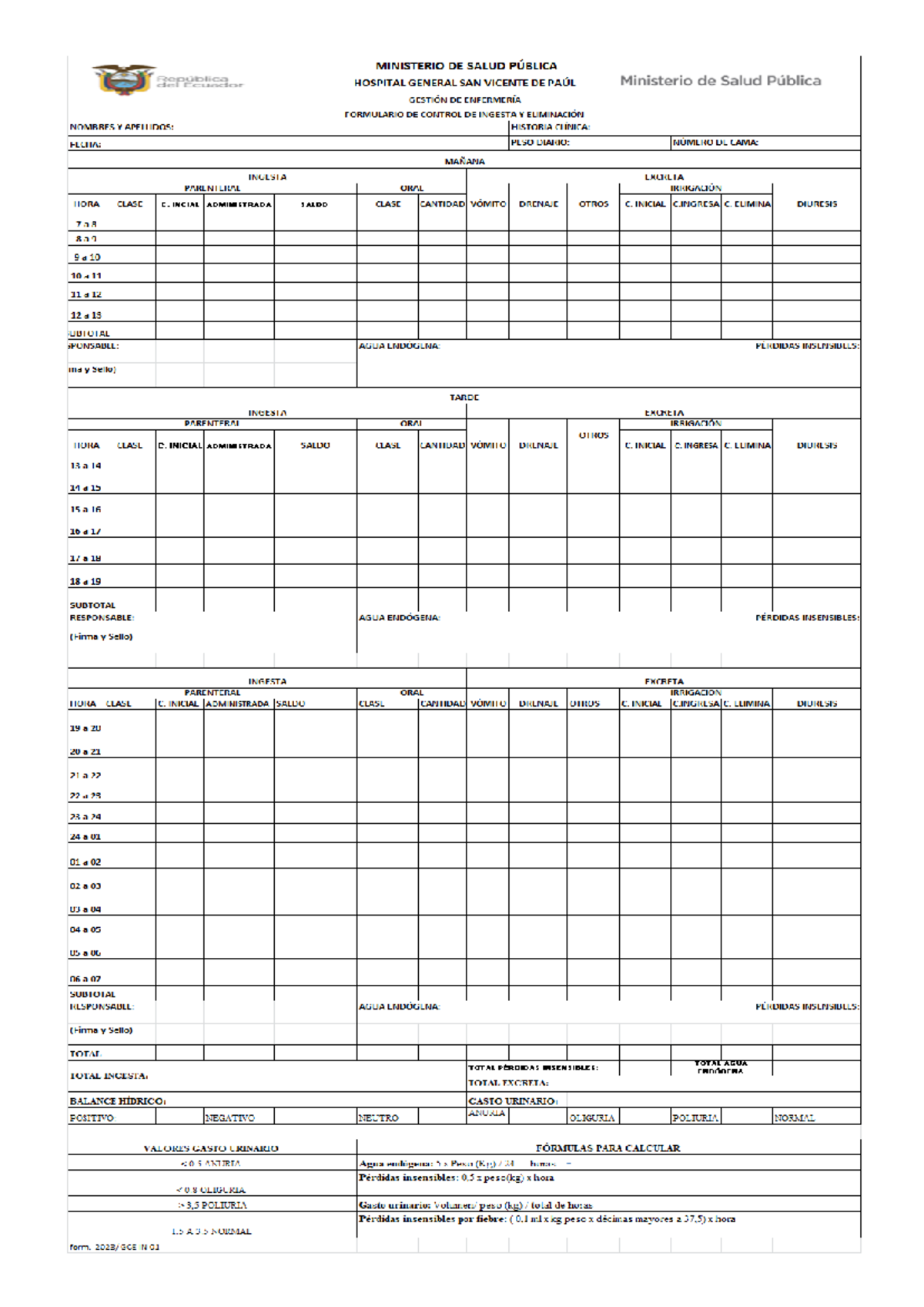 Formulario de Control de Ingesta y Eliminación en Enfermería - Studocu