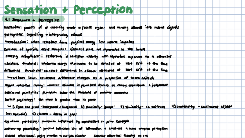 Sensation & Perception: Key Concepts and Theories in Psychology - Studocu