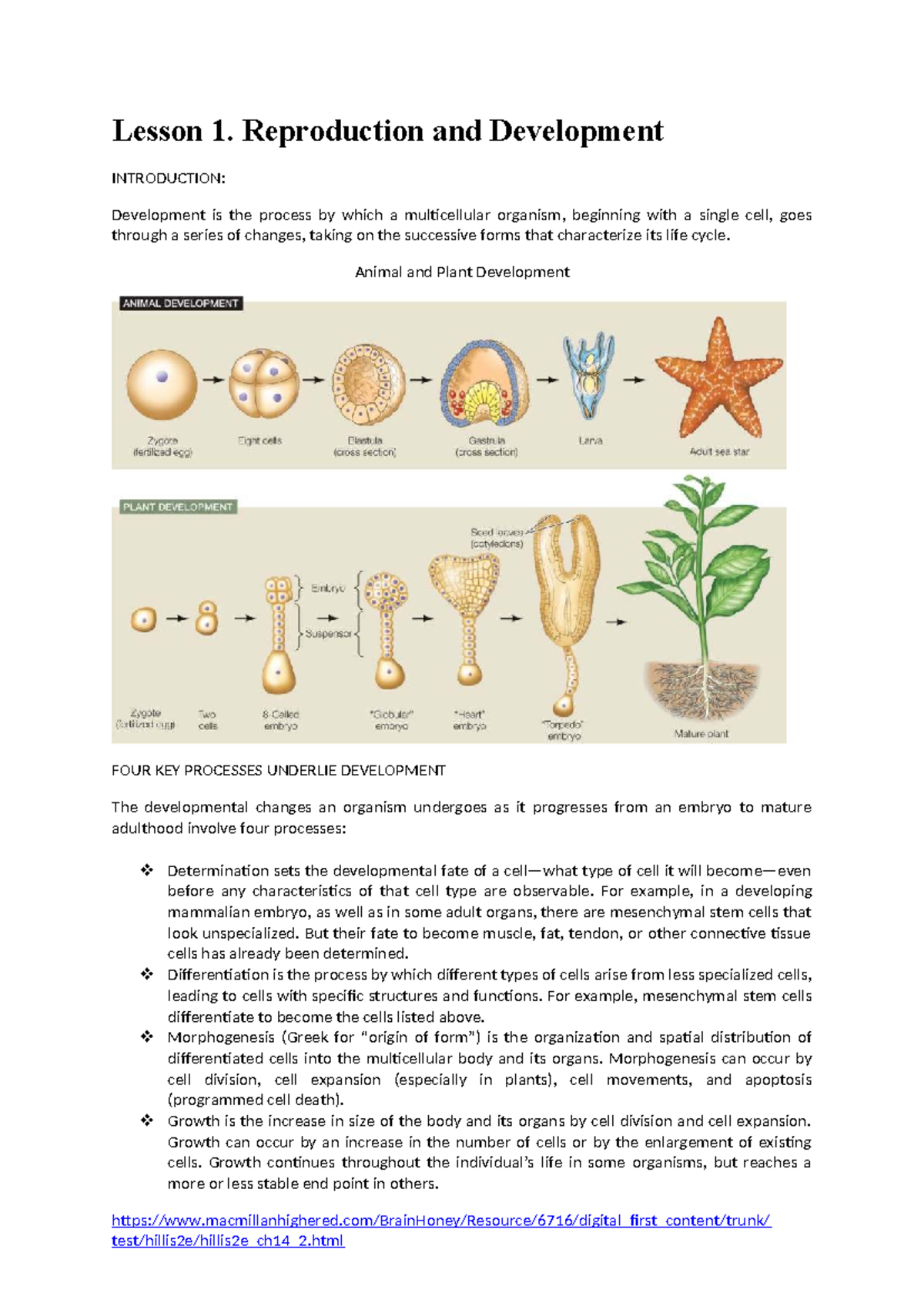 BIO 101: Comprehensive Notes on Reproduction, Nutrition, and Gas ...