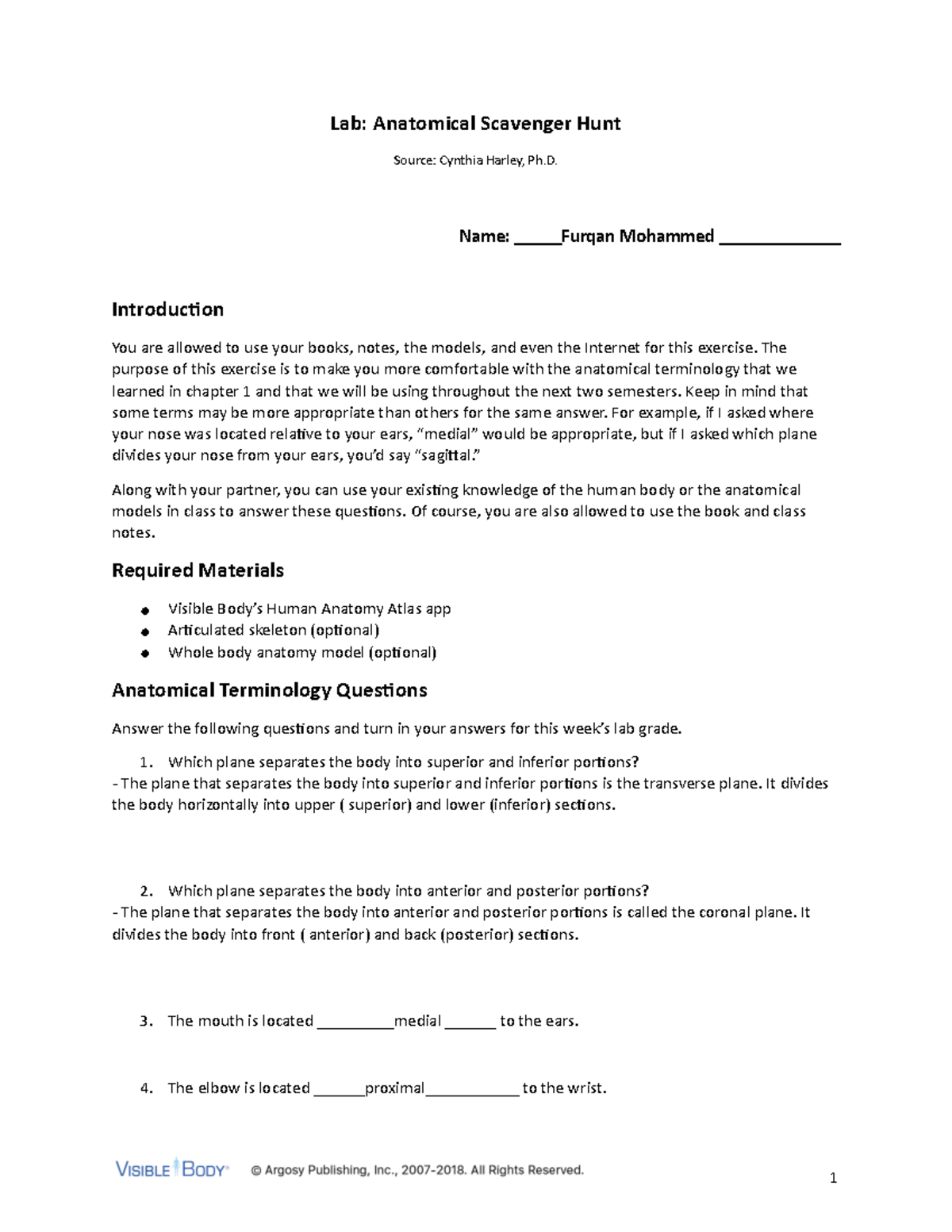 Anatomy Lab: Anatomical Scavenger Hunt (AP-Worksheet) - Studocu
