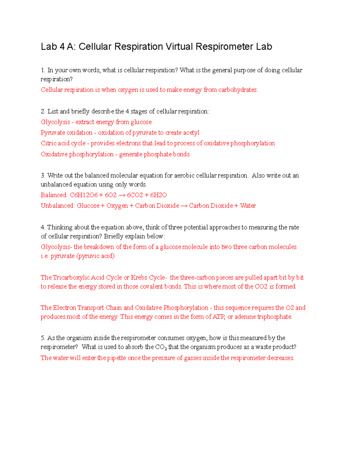 Lab 4 A Cellular Respiration Virtual Respirometer Lab - List and ...