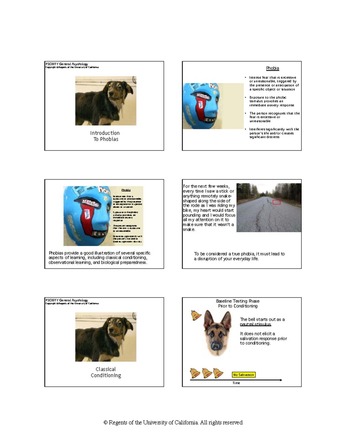 Fear Conditioning and Phobias: Insights from PSC001Y General Psychology ...