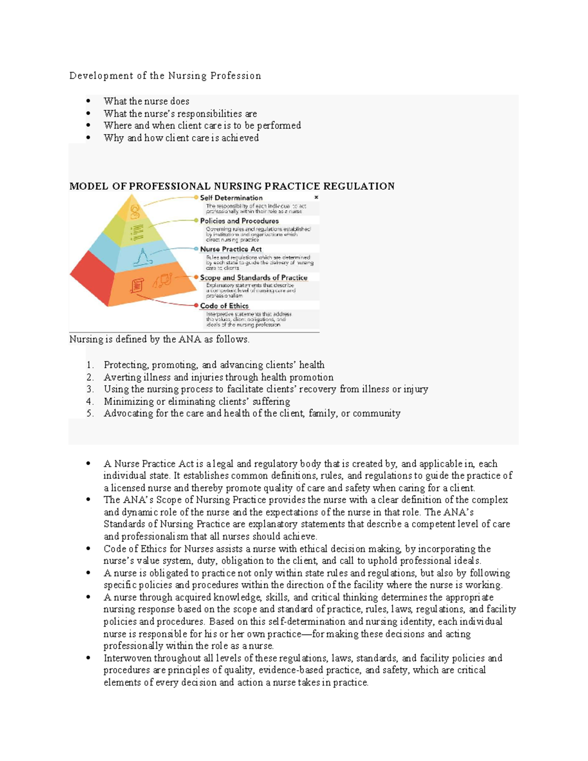 Nursing Practice Framework: Ethics, Standards, and Clinical Processes (NUR 101) - Studocu