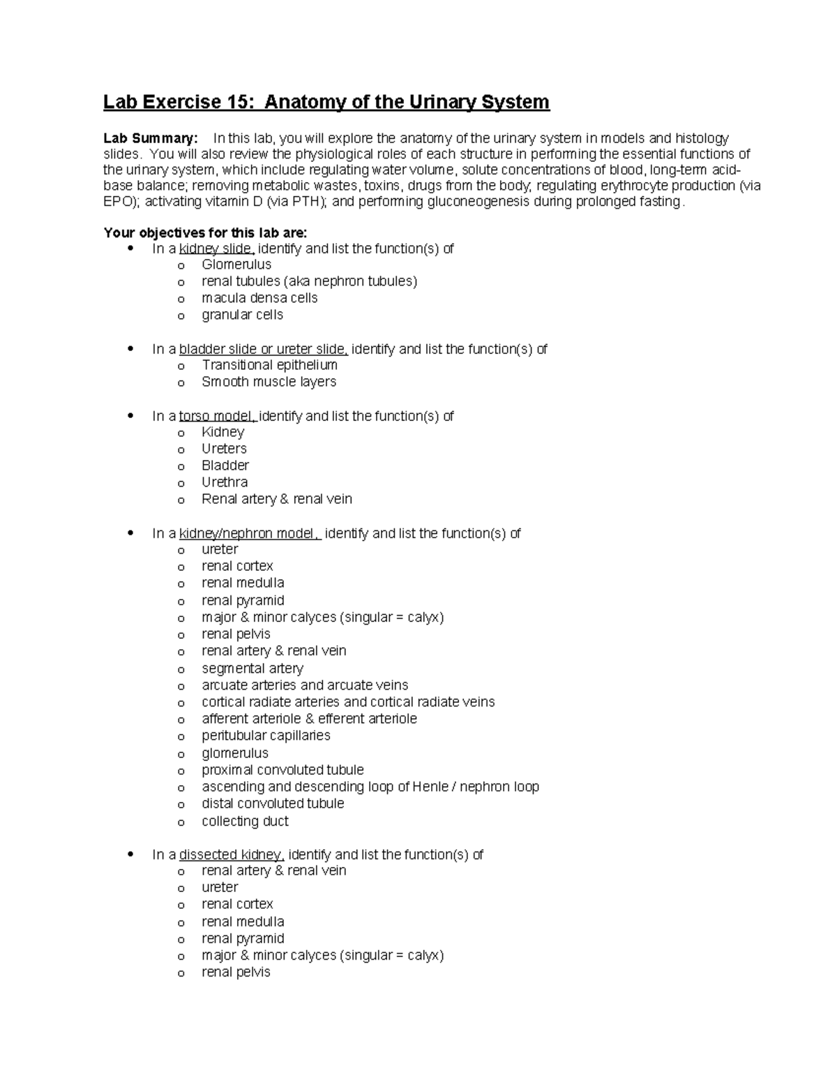 Lab Exercise 15: Urinary System Anatomy & Histology Overview - Studocu