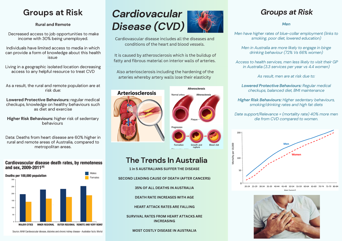 Pdhpe Health Pamphlet Cardiovascular Disease - Cardiovacular Disease ...